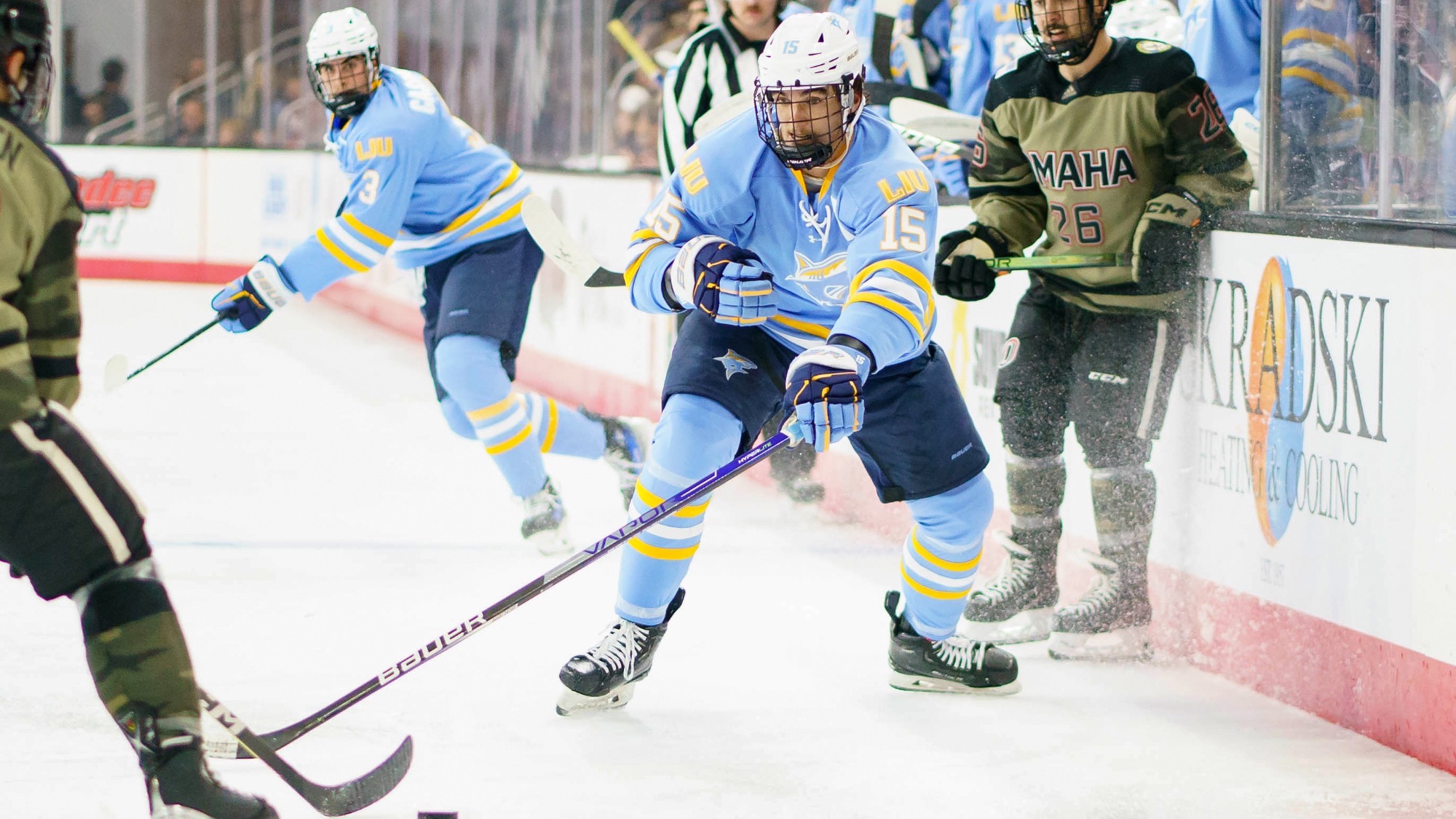 Long Island University Athletics