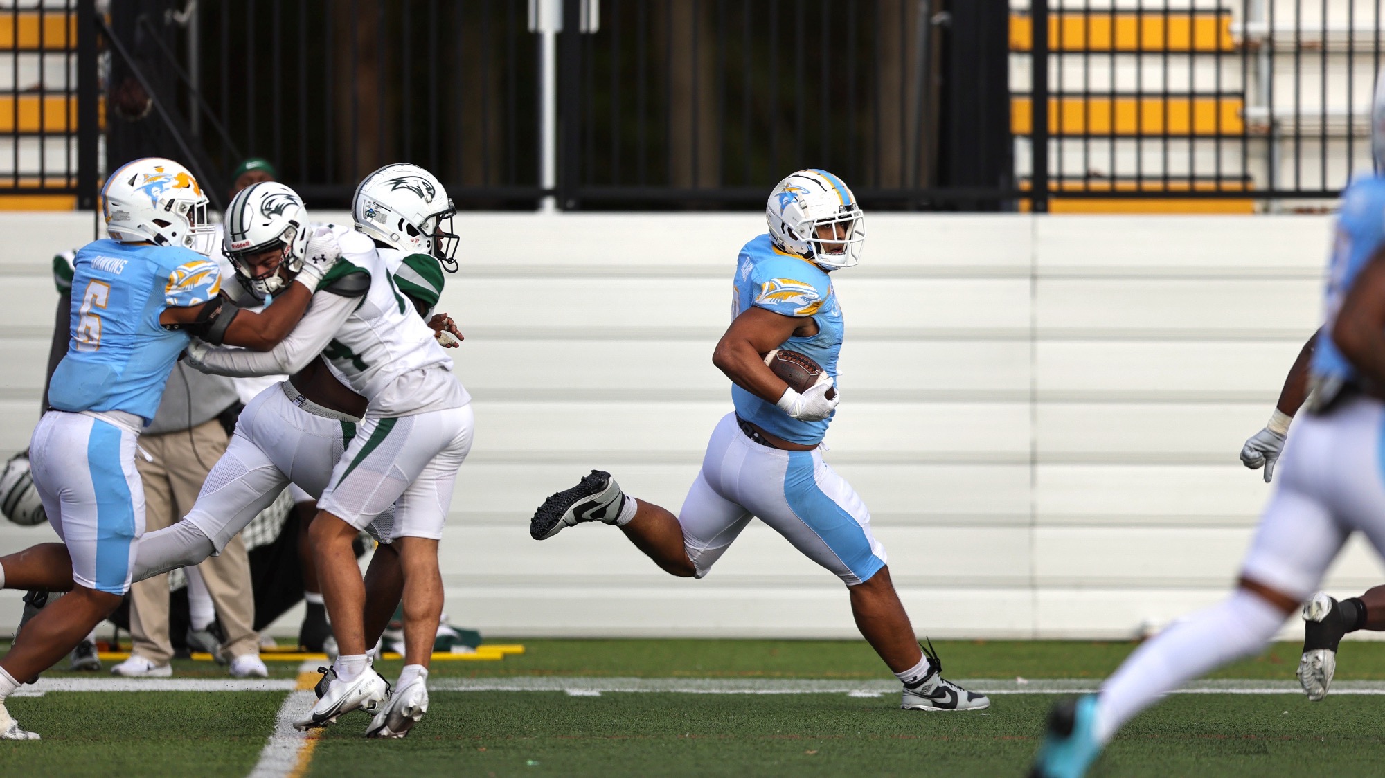 Long Island University Athletics