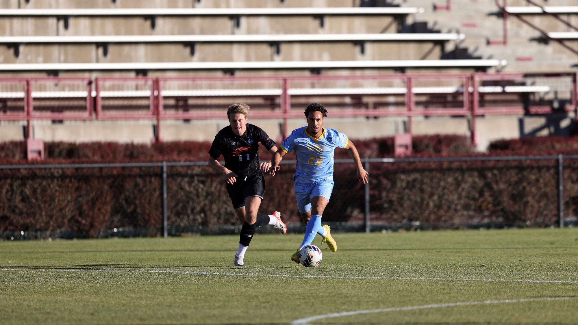 Long Island University Athletics