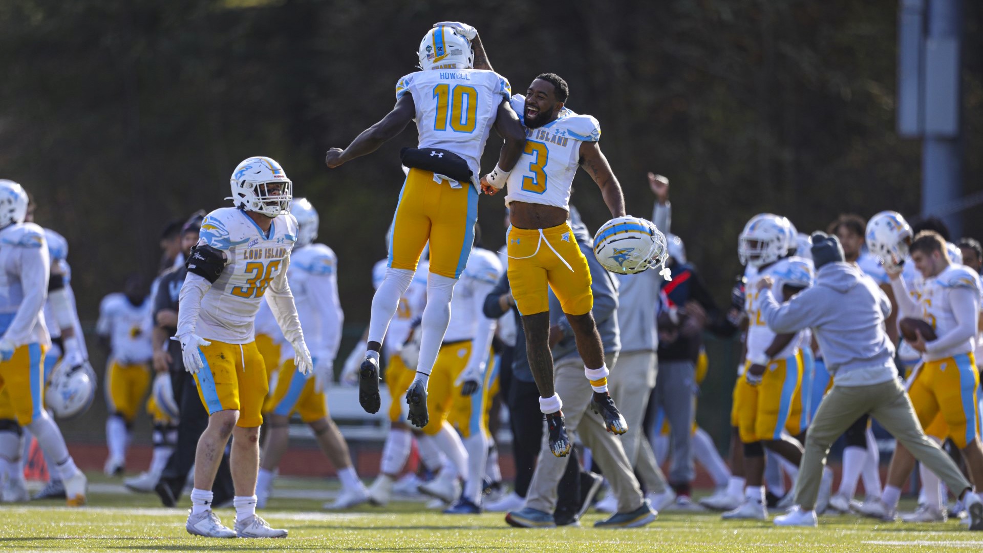 Long Island University Athletics