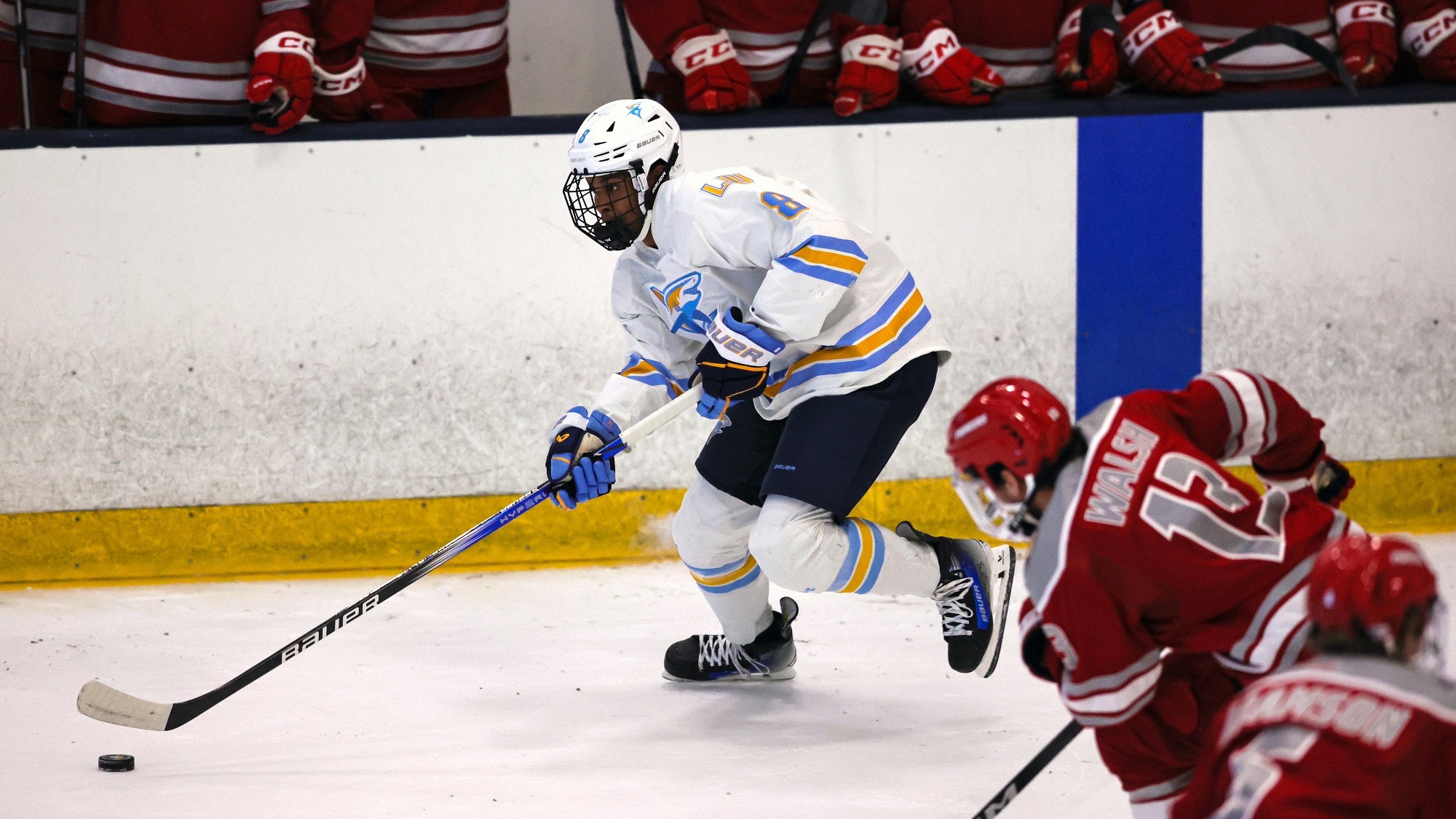 Long Island University Athletics