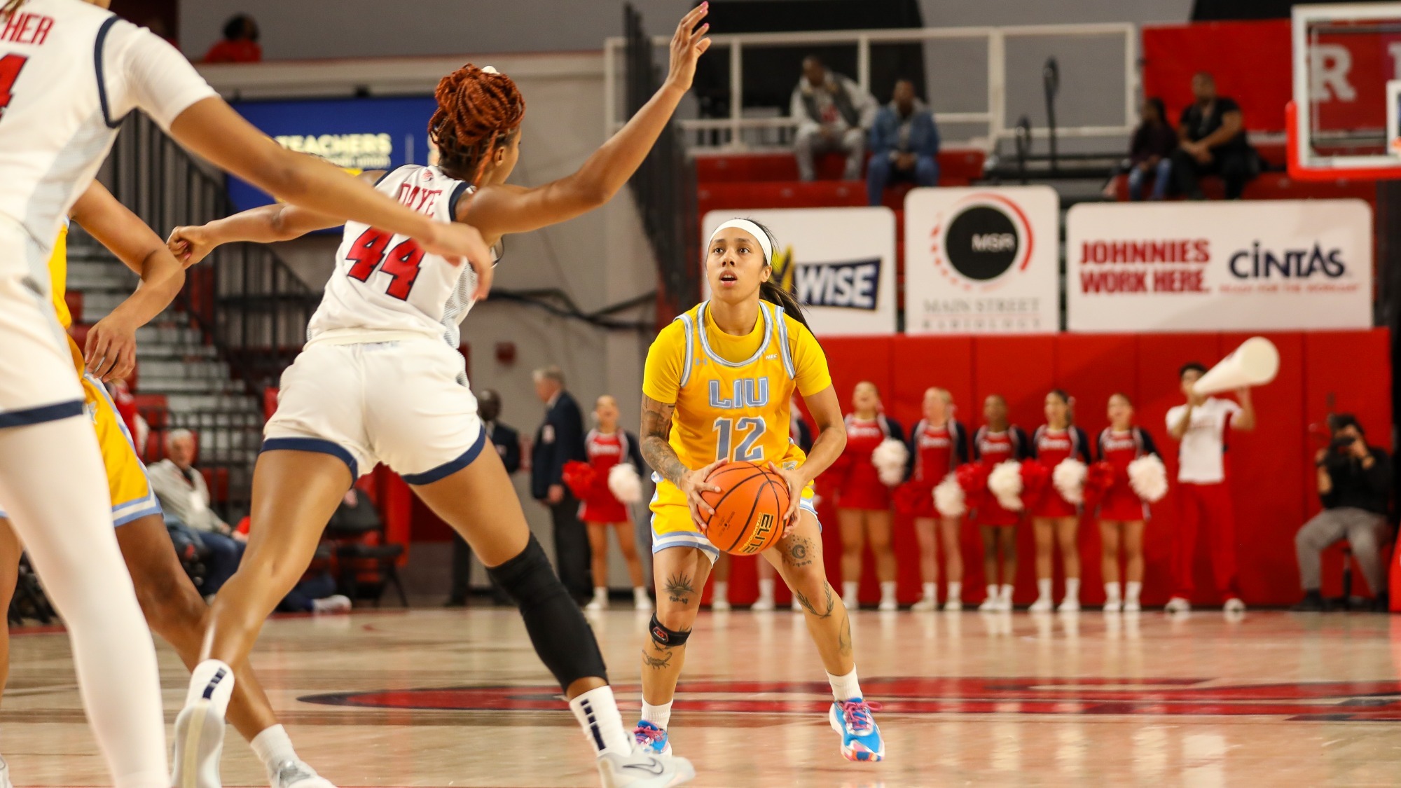 Long Island University Athletics