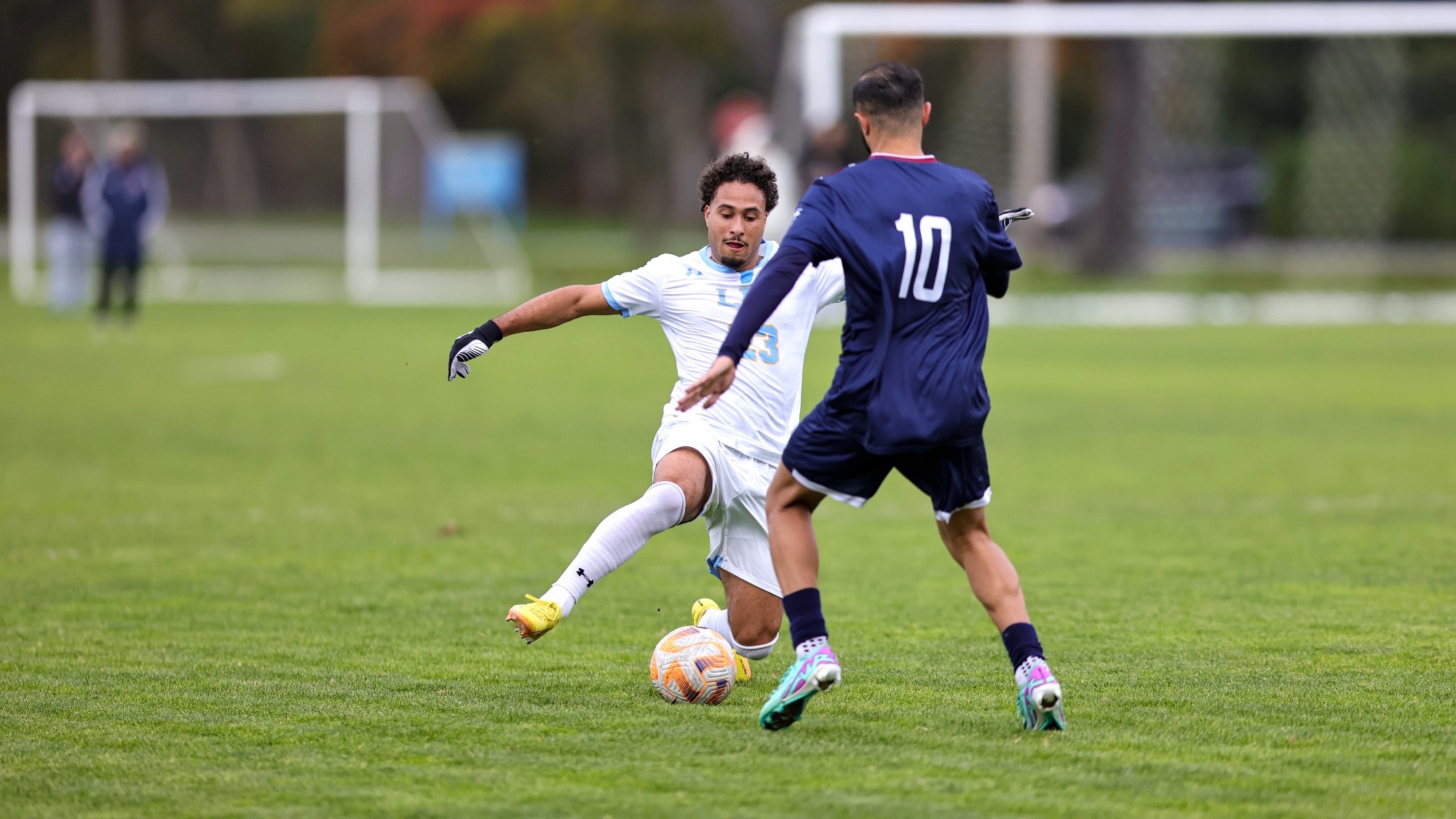 Long Island University Athletics