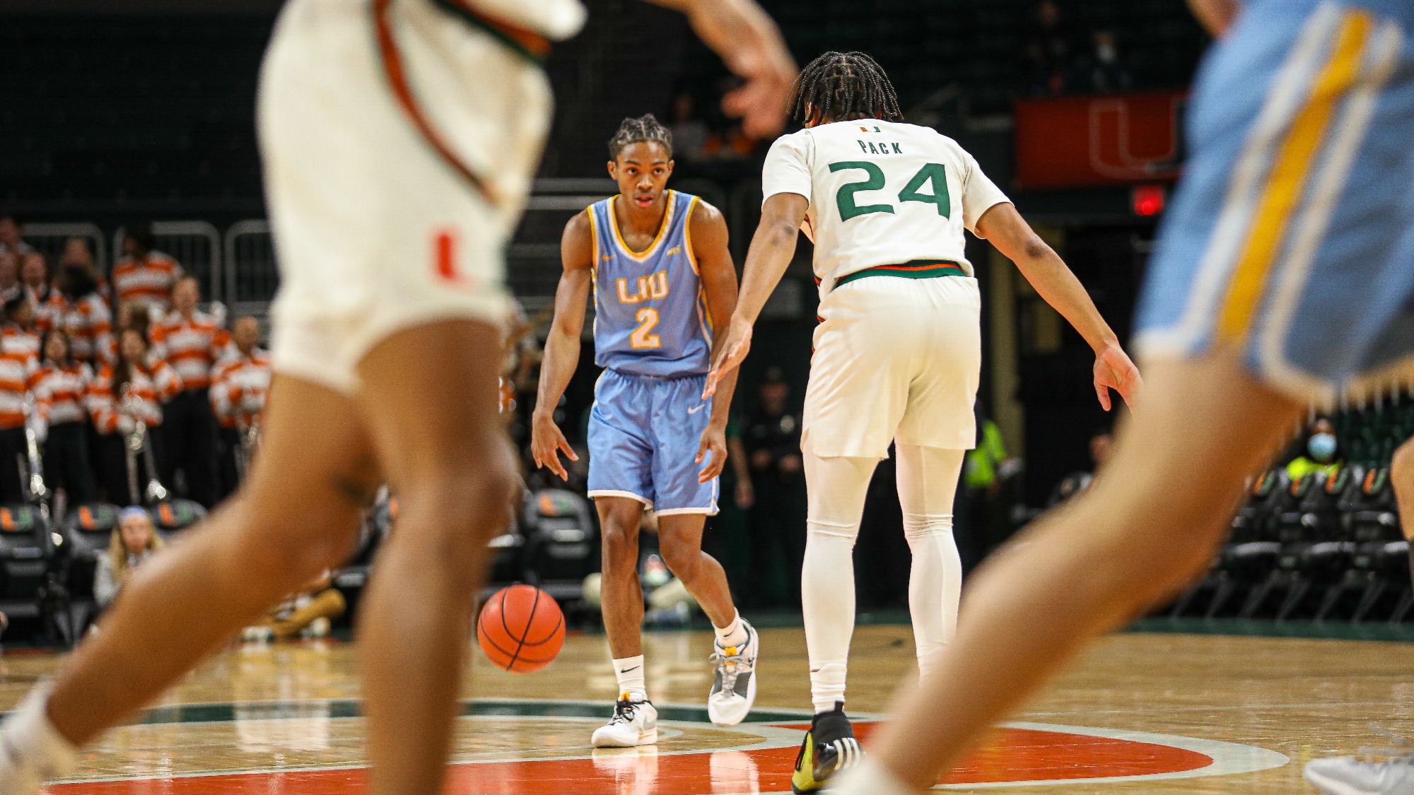 Long Island University Athletics