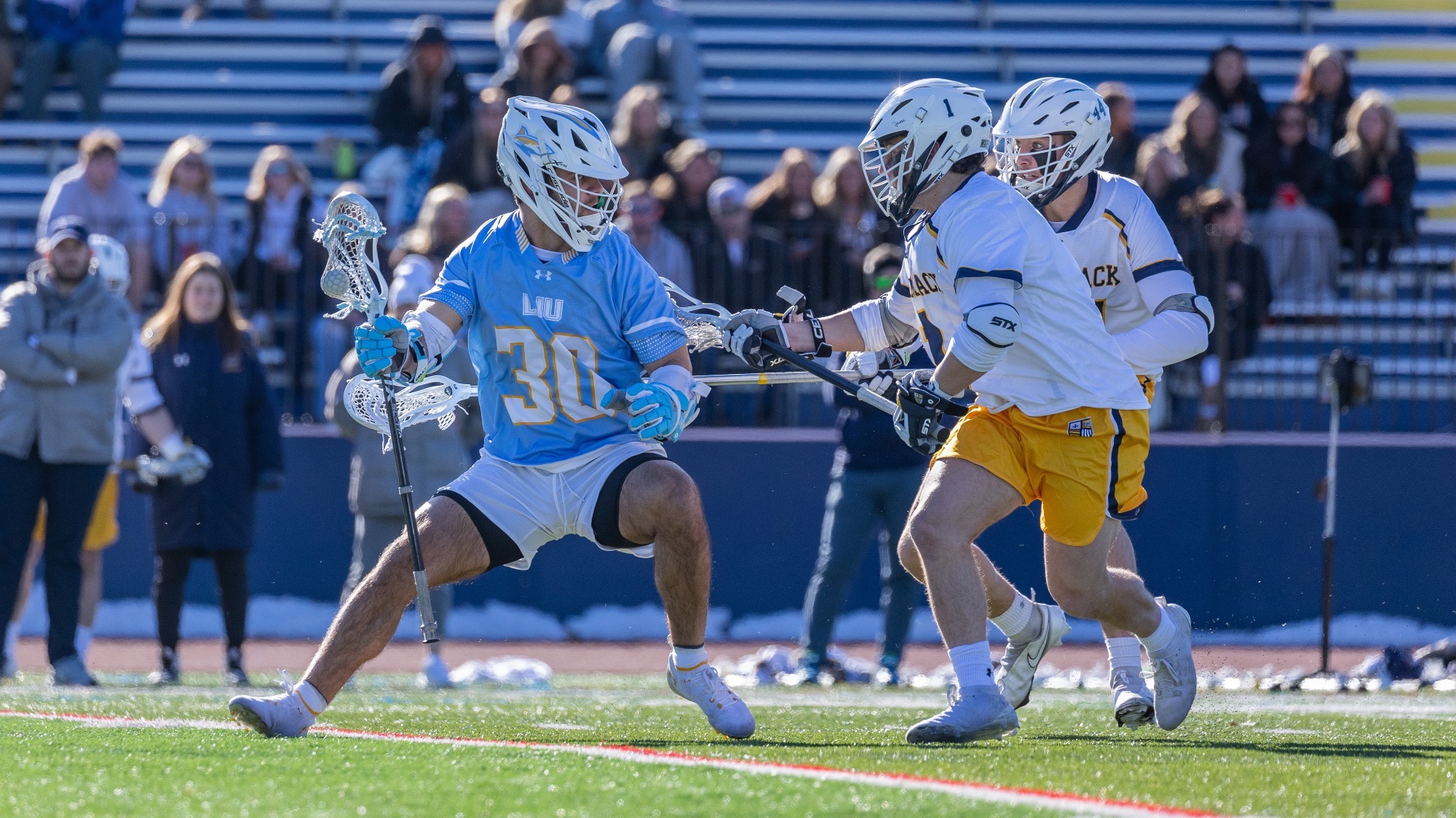 Long Island University Athletics