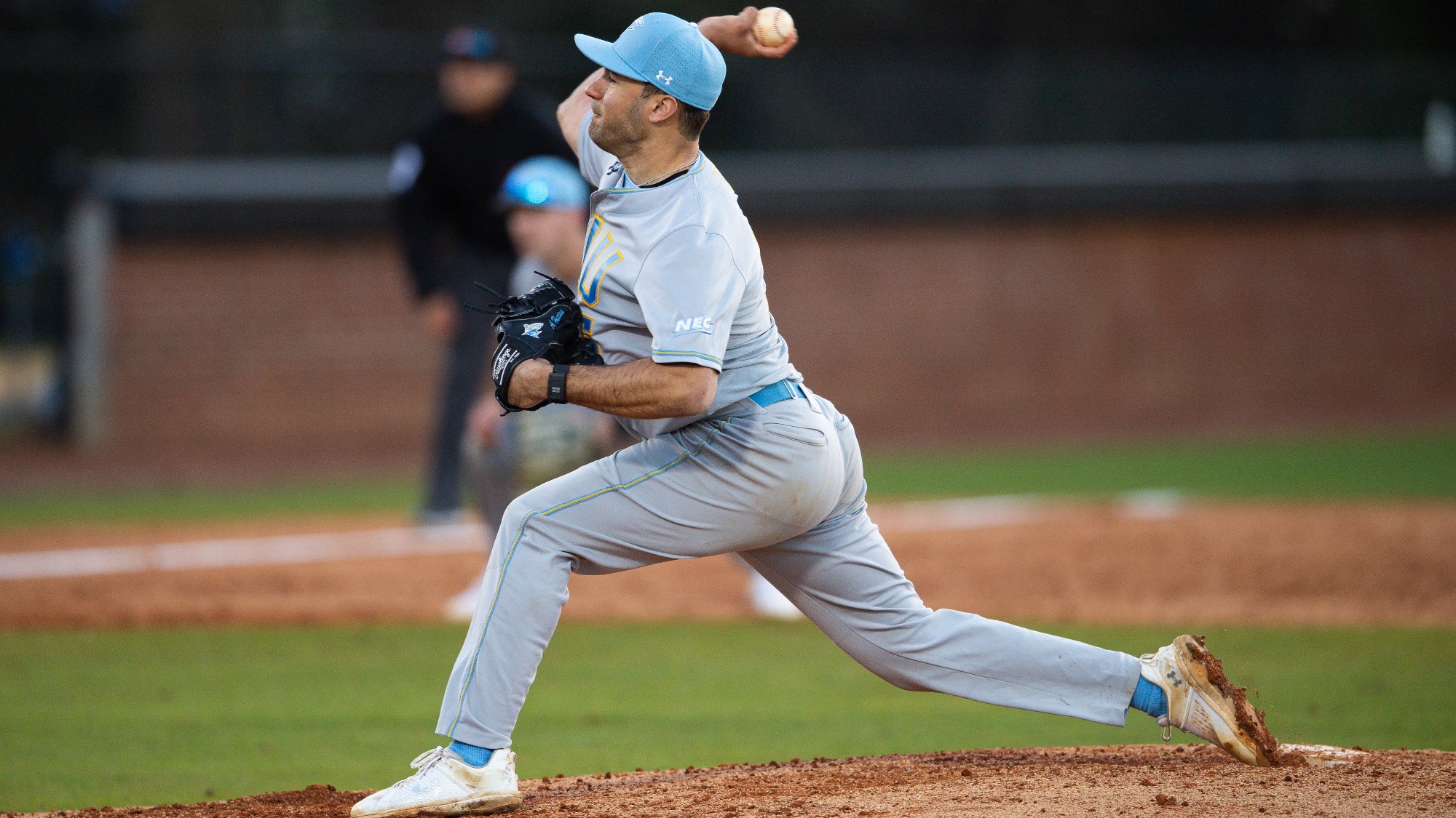 Long Island University Athletics