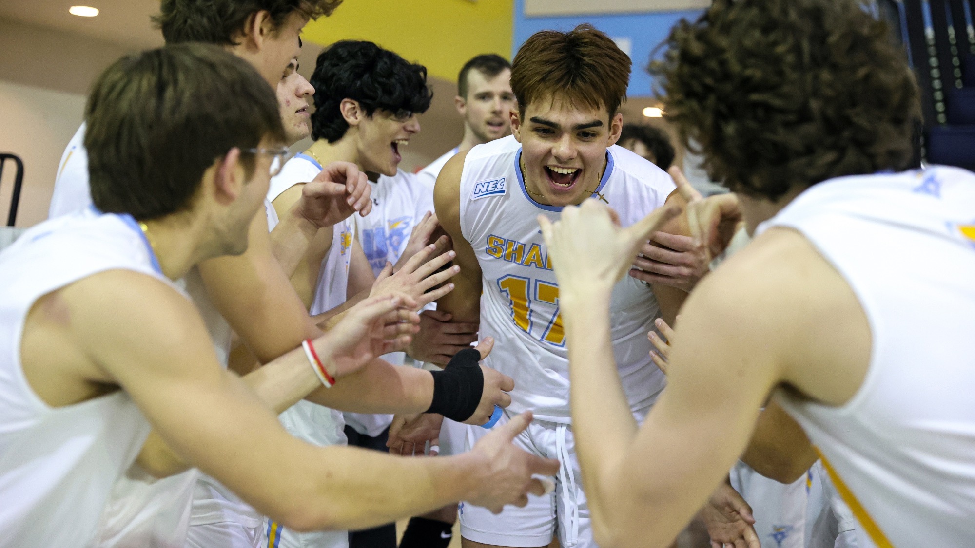 Long Island University Athletics