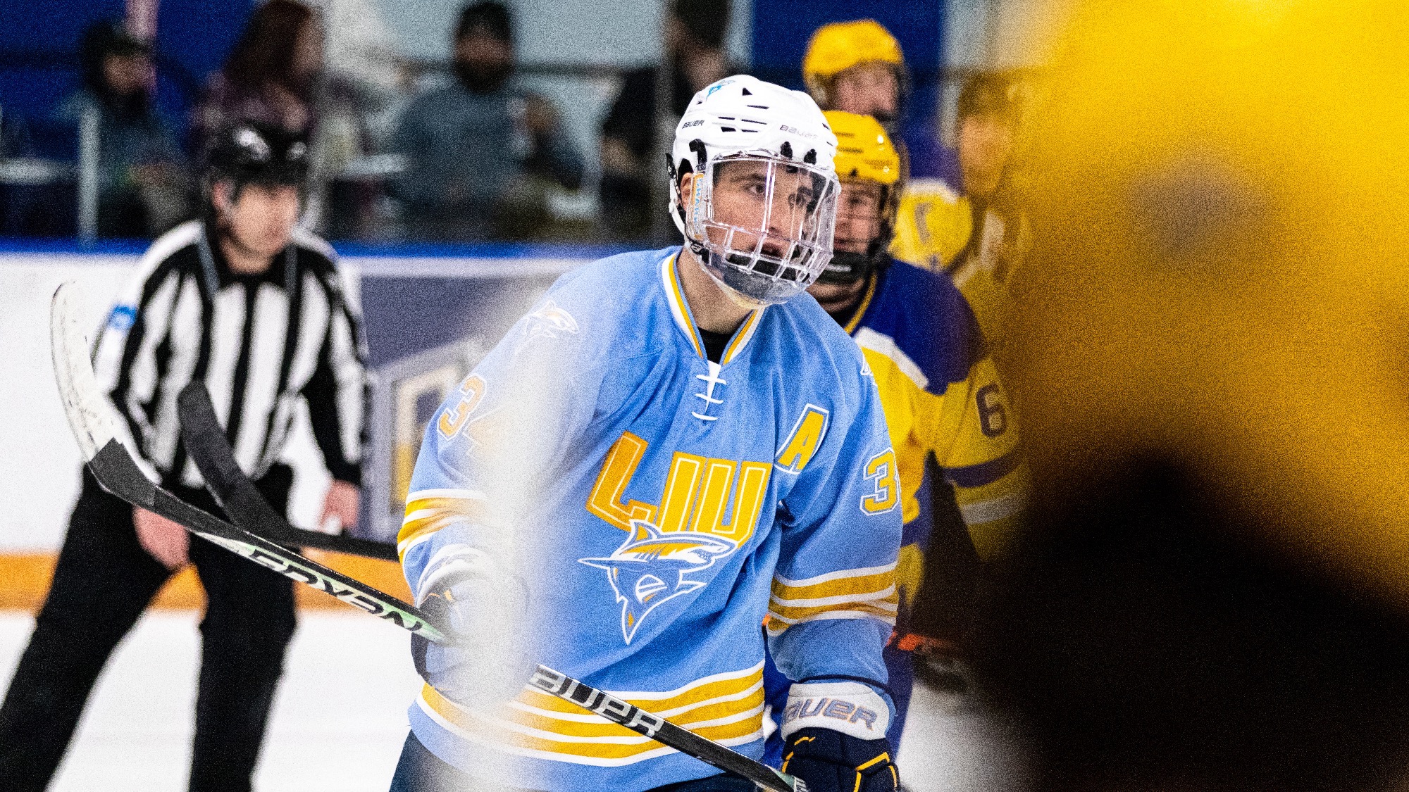 Long Island University