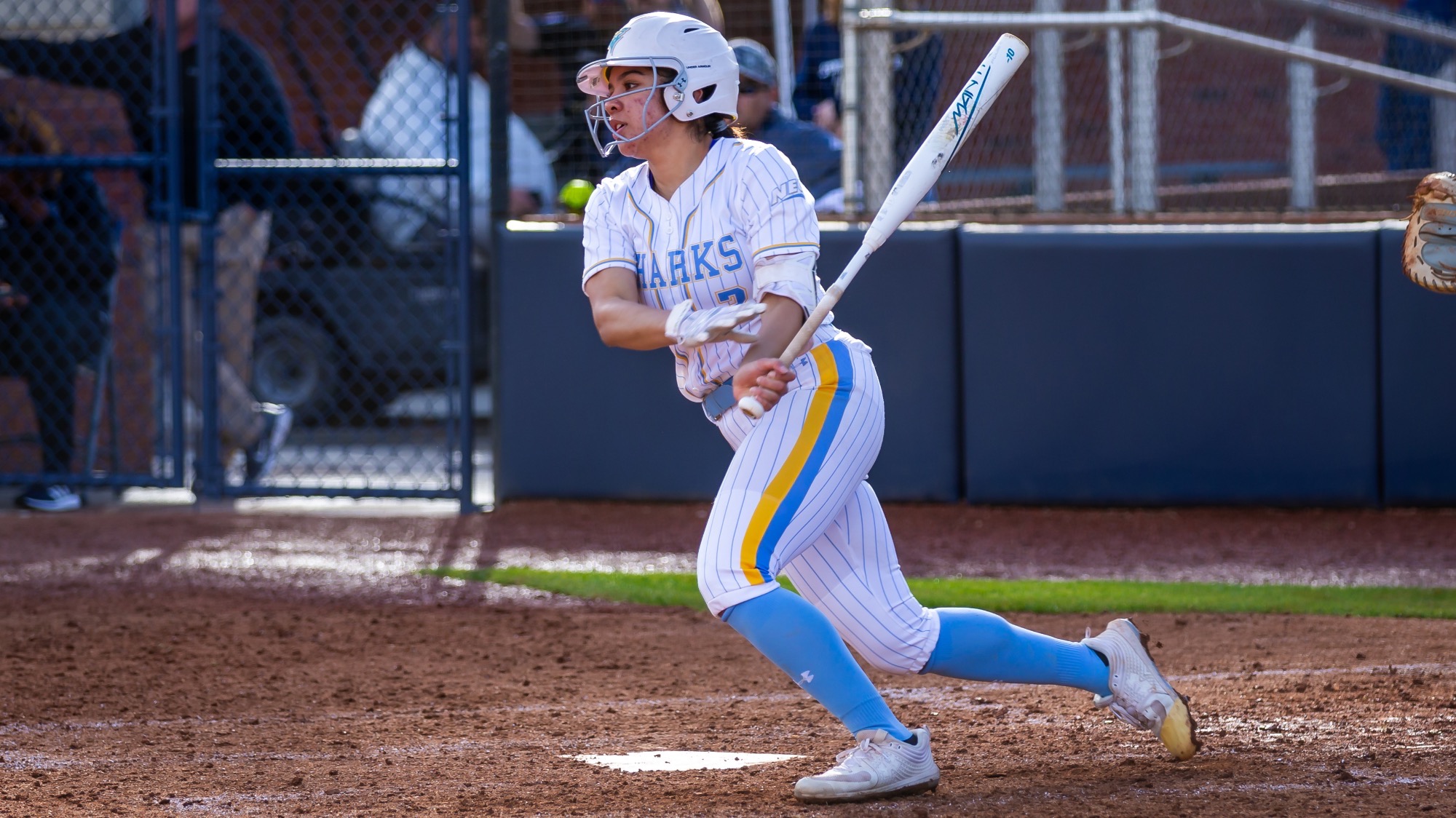 Long Island University Athletics