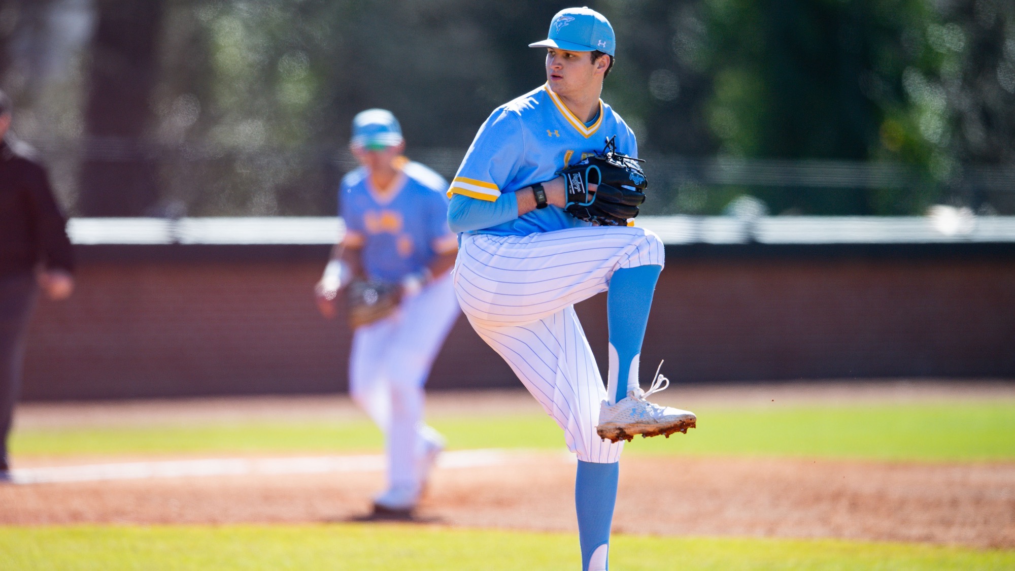 Long Island University Athletics