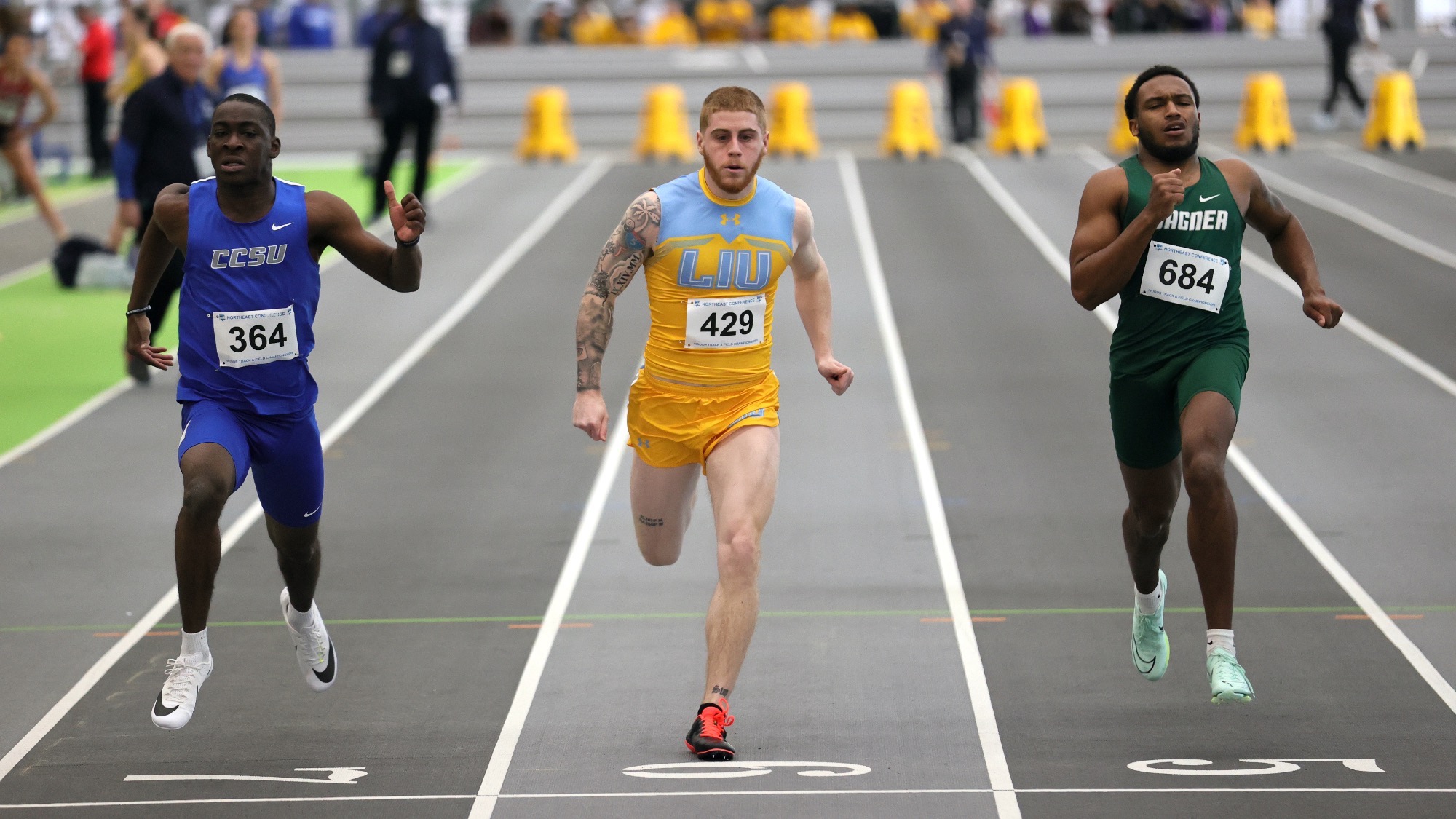 Long Island University Athletics