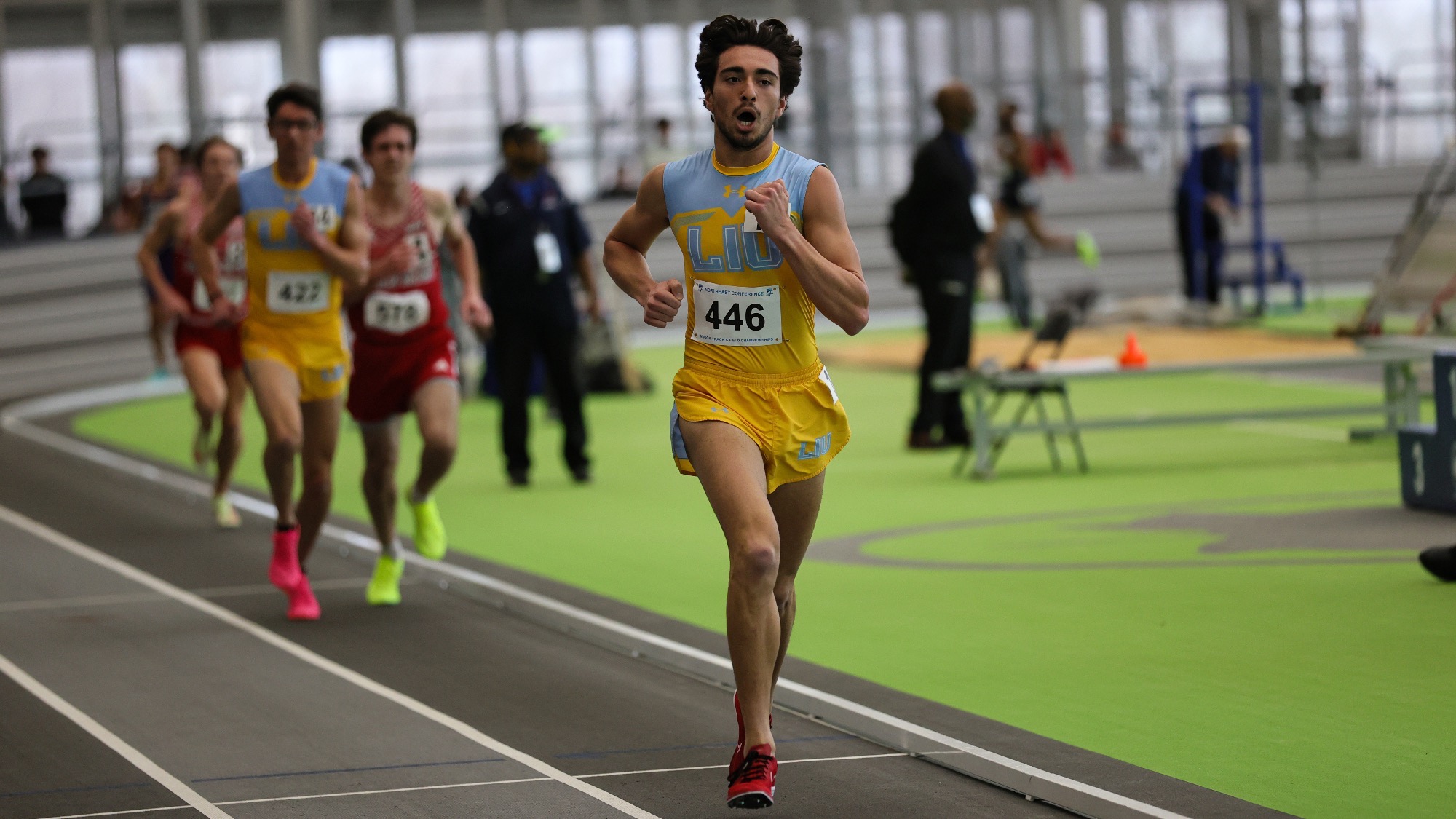 Long Island University Athletics