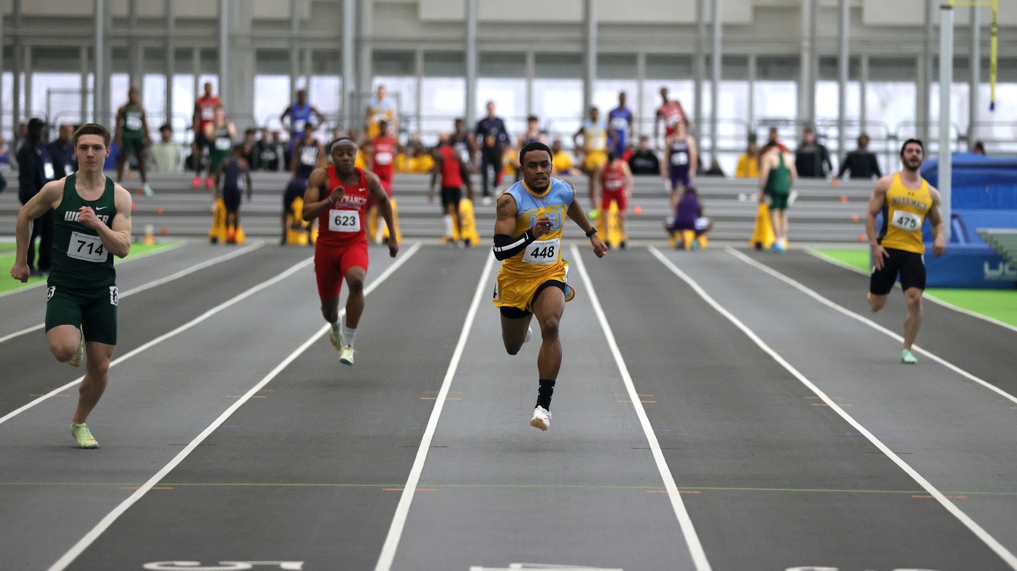 Long Island University Athletics