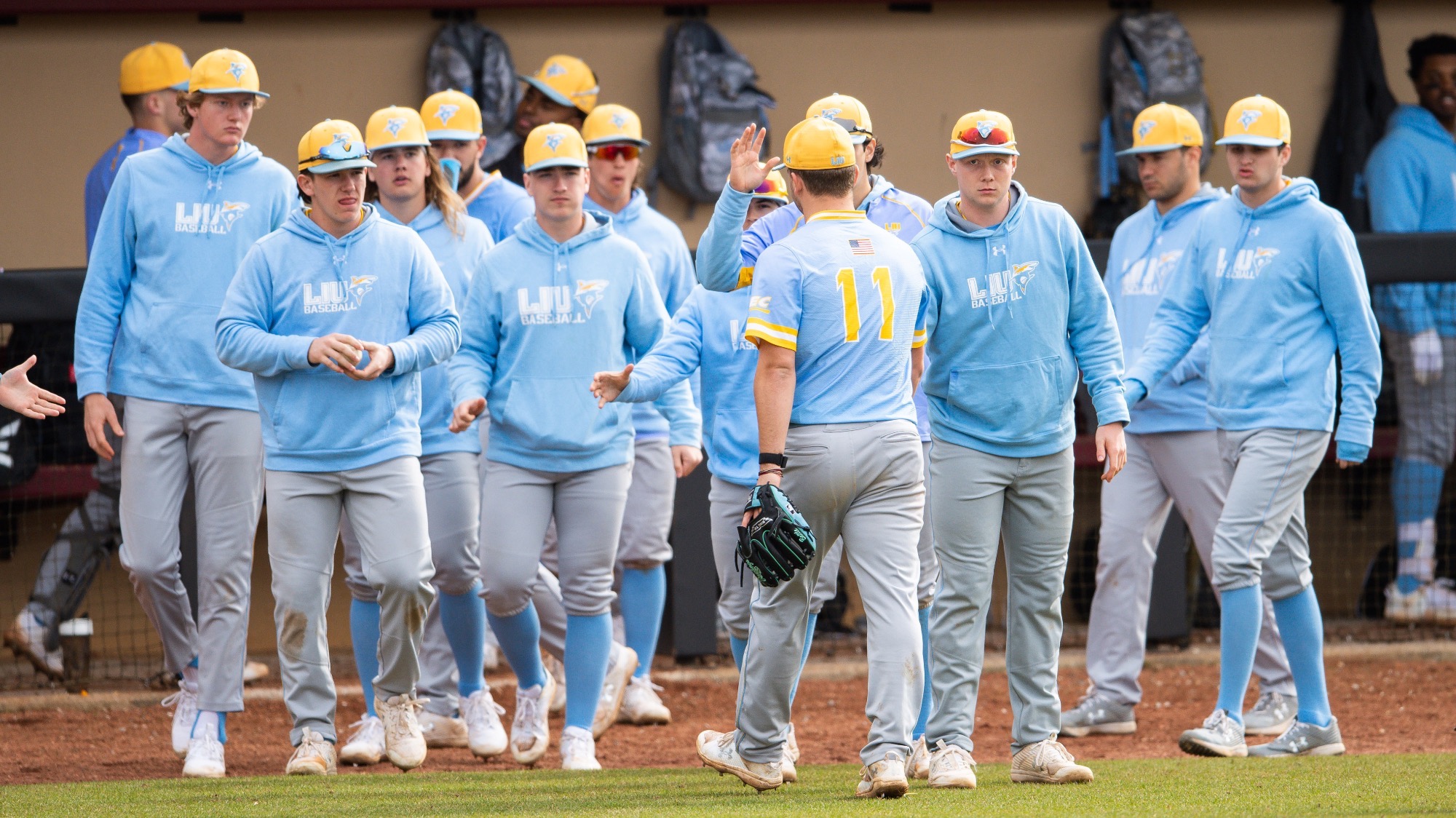 Long Island University Athletics