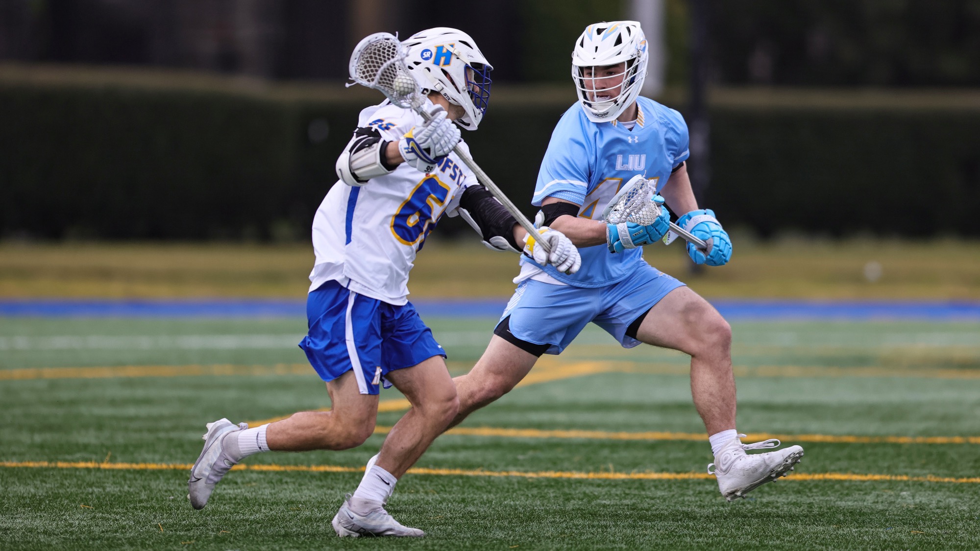 Long Island University Athletics