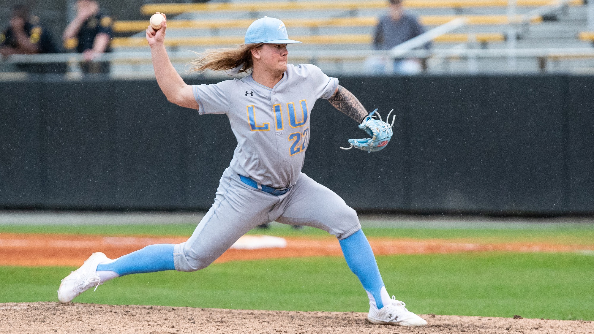 Long Island University Athletics