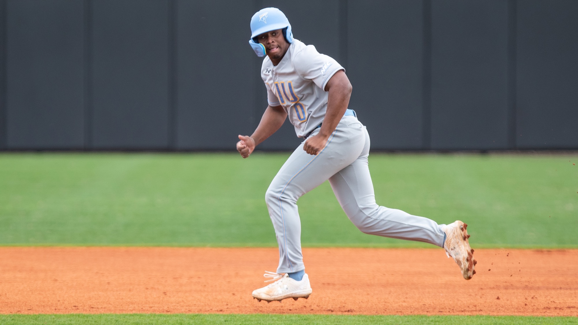 Long Island University