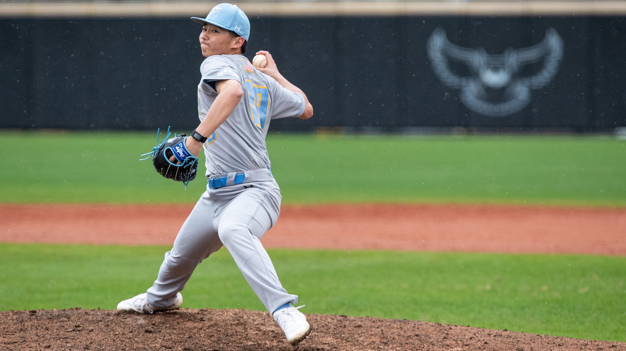 Long Island University Athletics