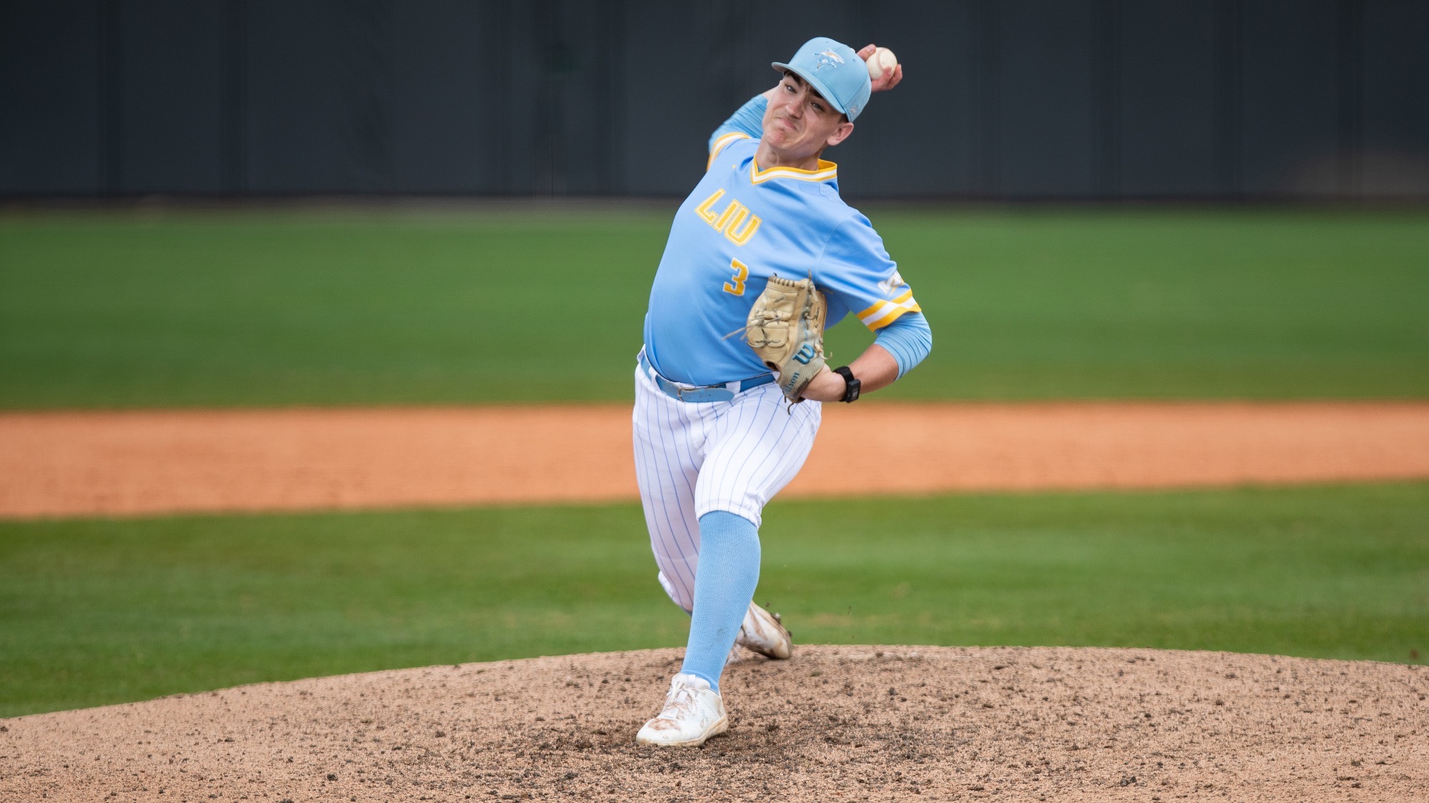 Long Island University Athletics