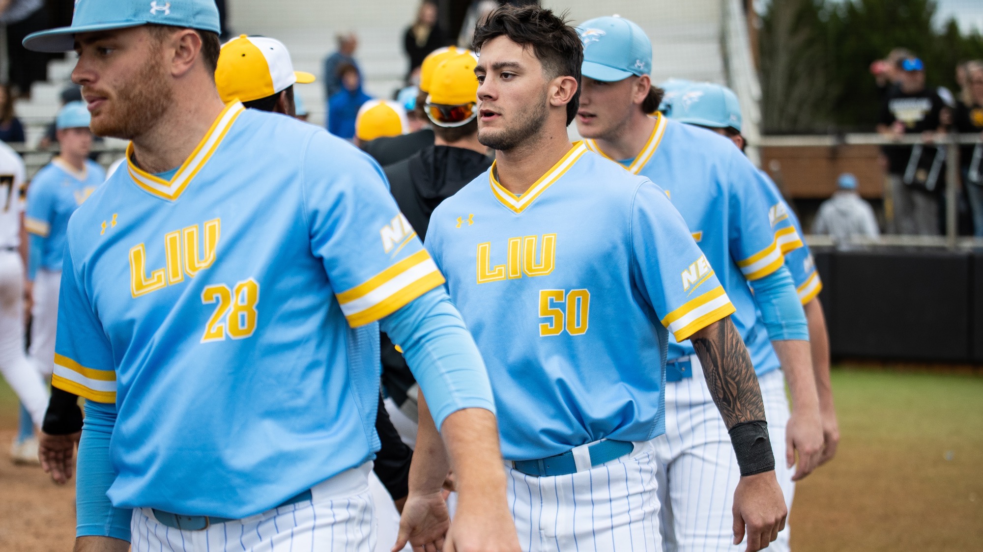 Long Island University Athletics