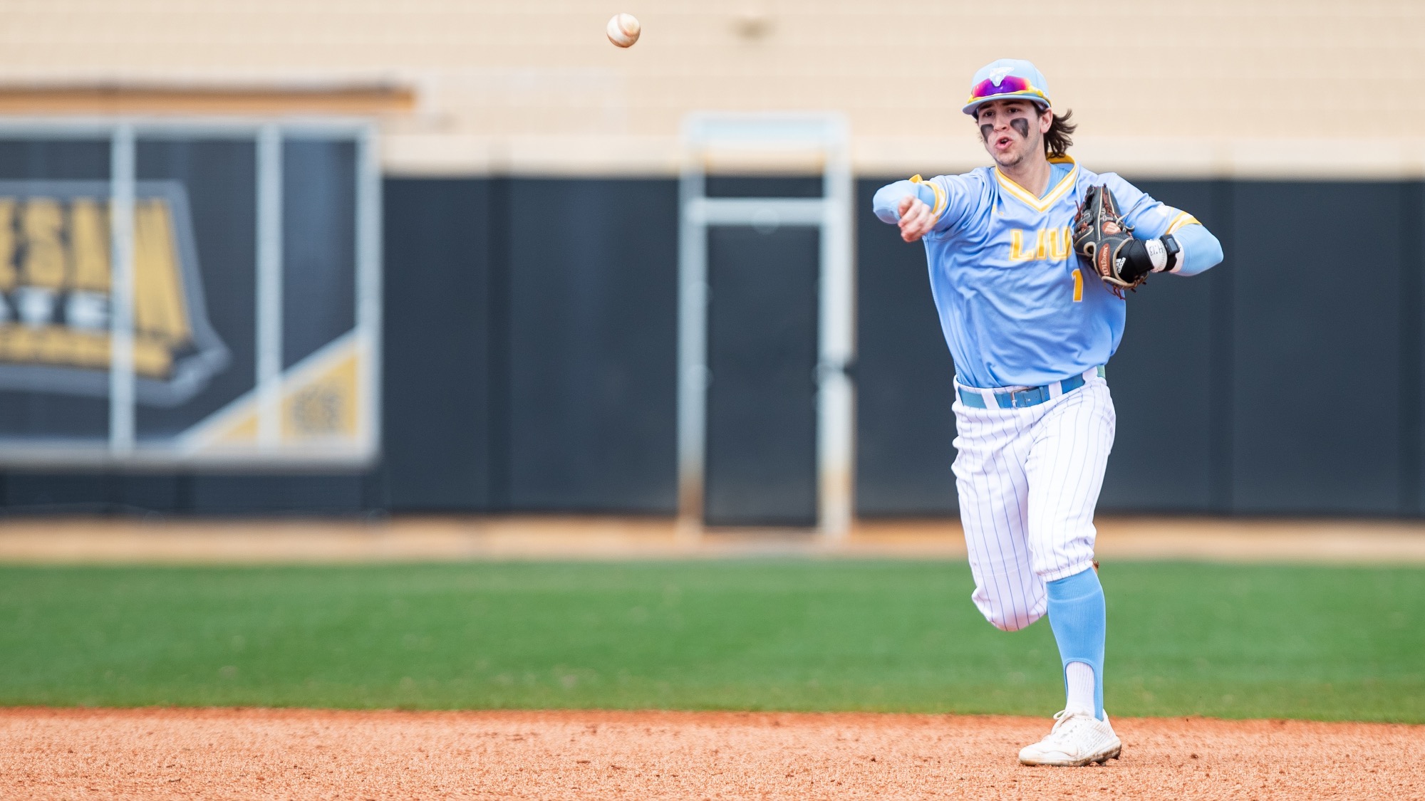 Long Island University Athletics