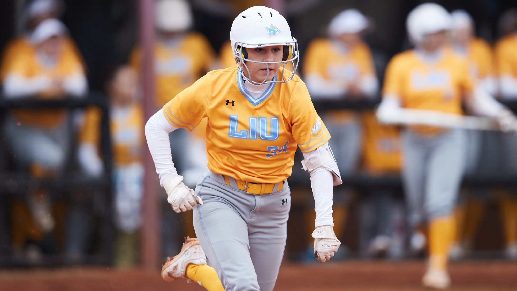 Long Island University Athletics