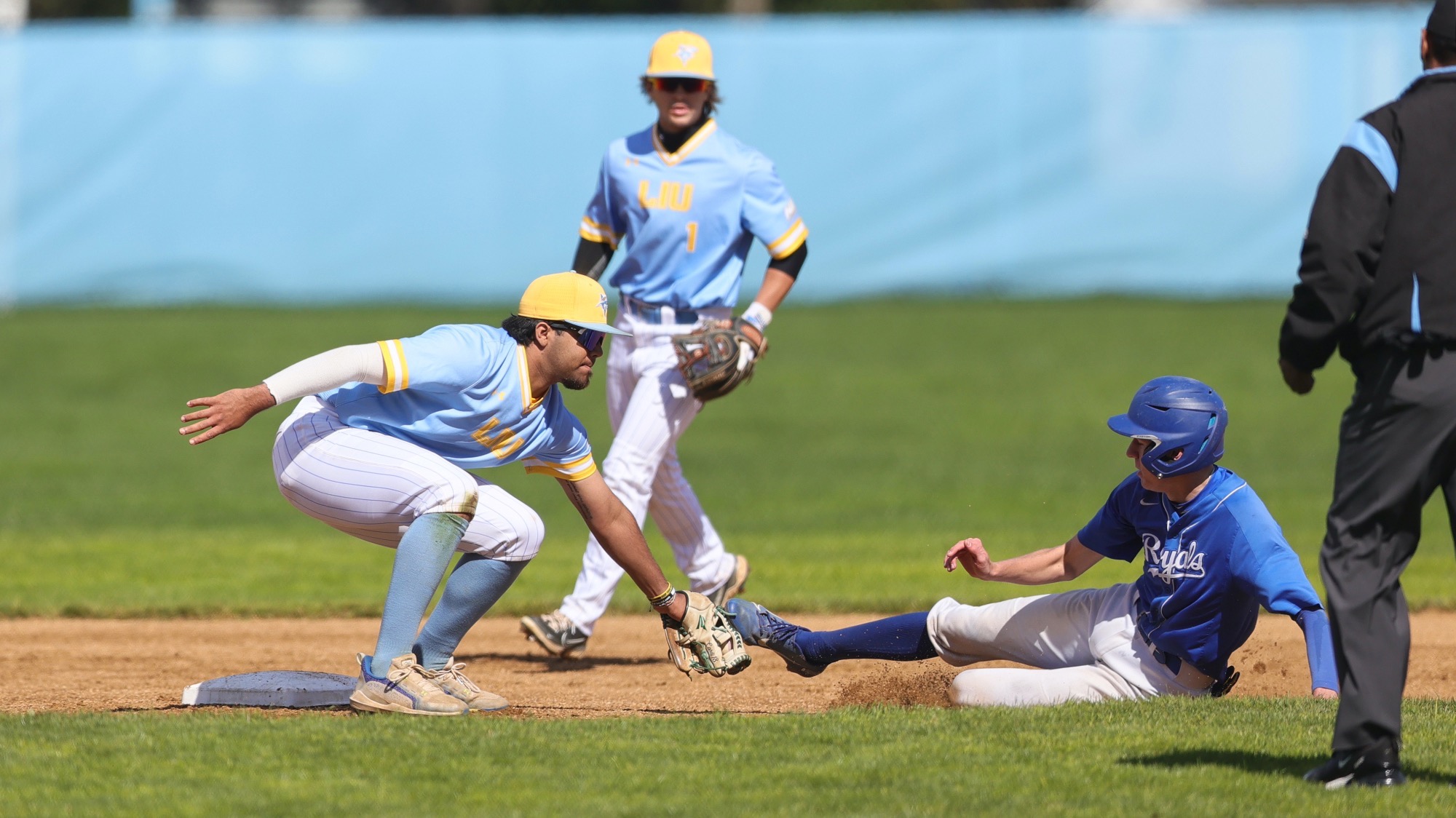 Long Island University Athletics