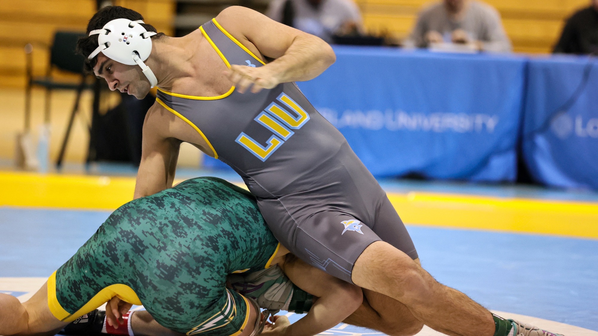 Long Island University Athletics