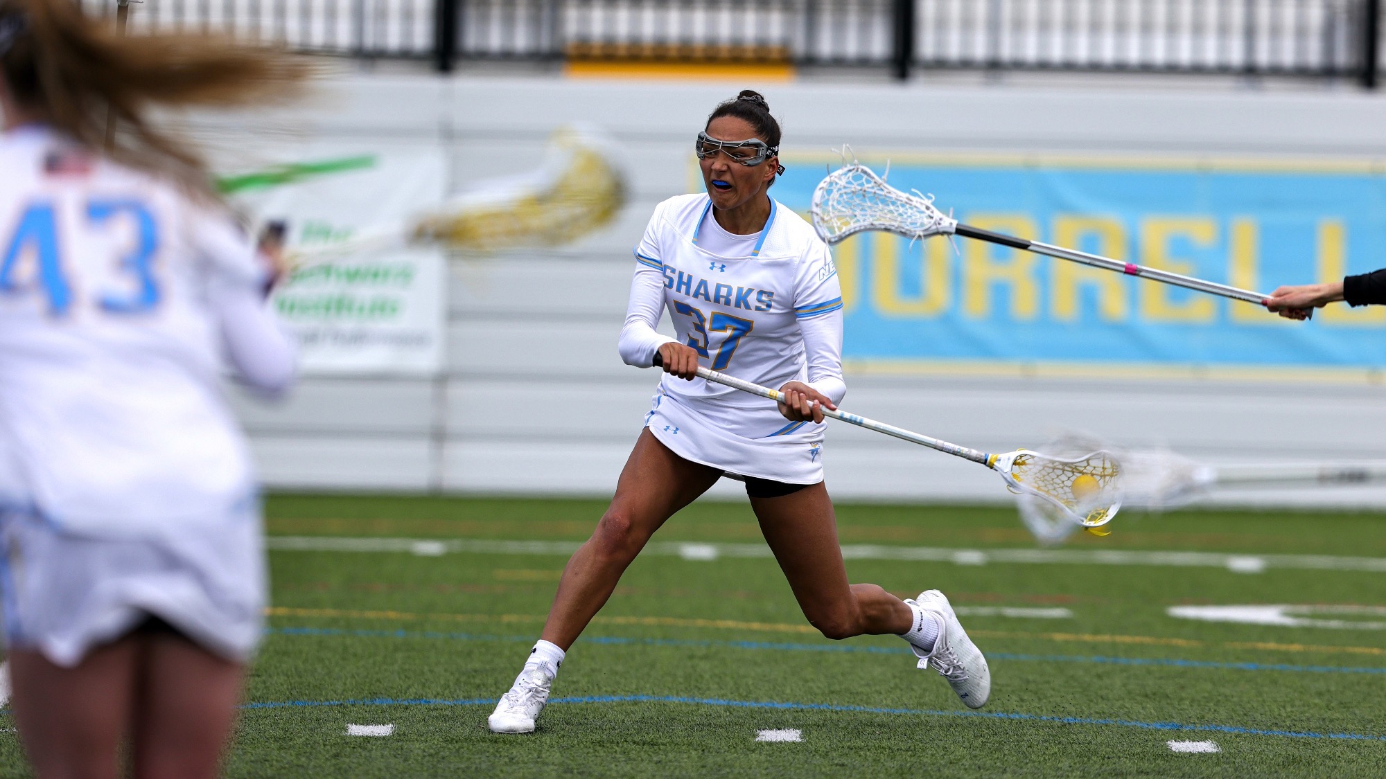 Long Island University Athletics