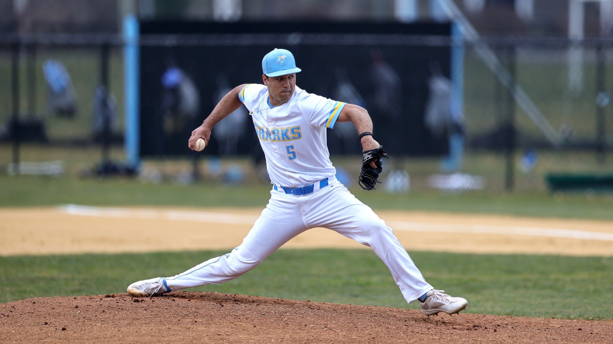 Long Island University Athletics