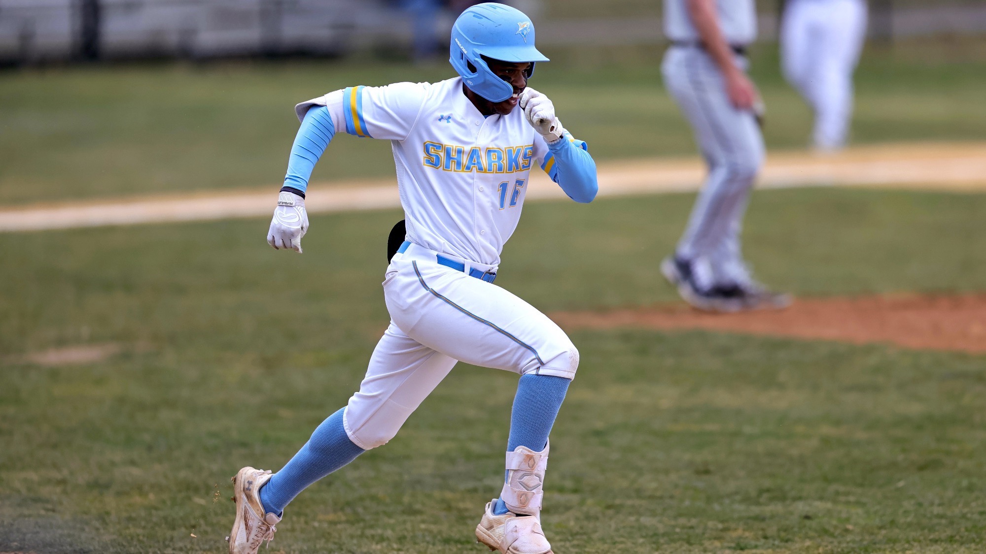 Long Island University Athletics