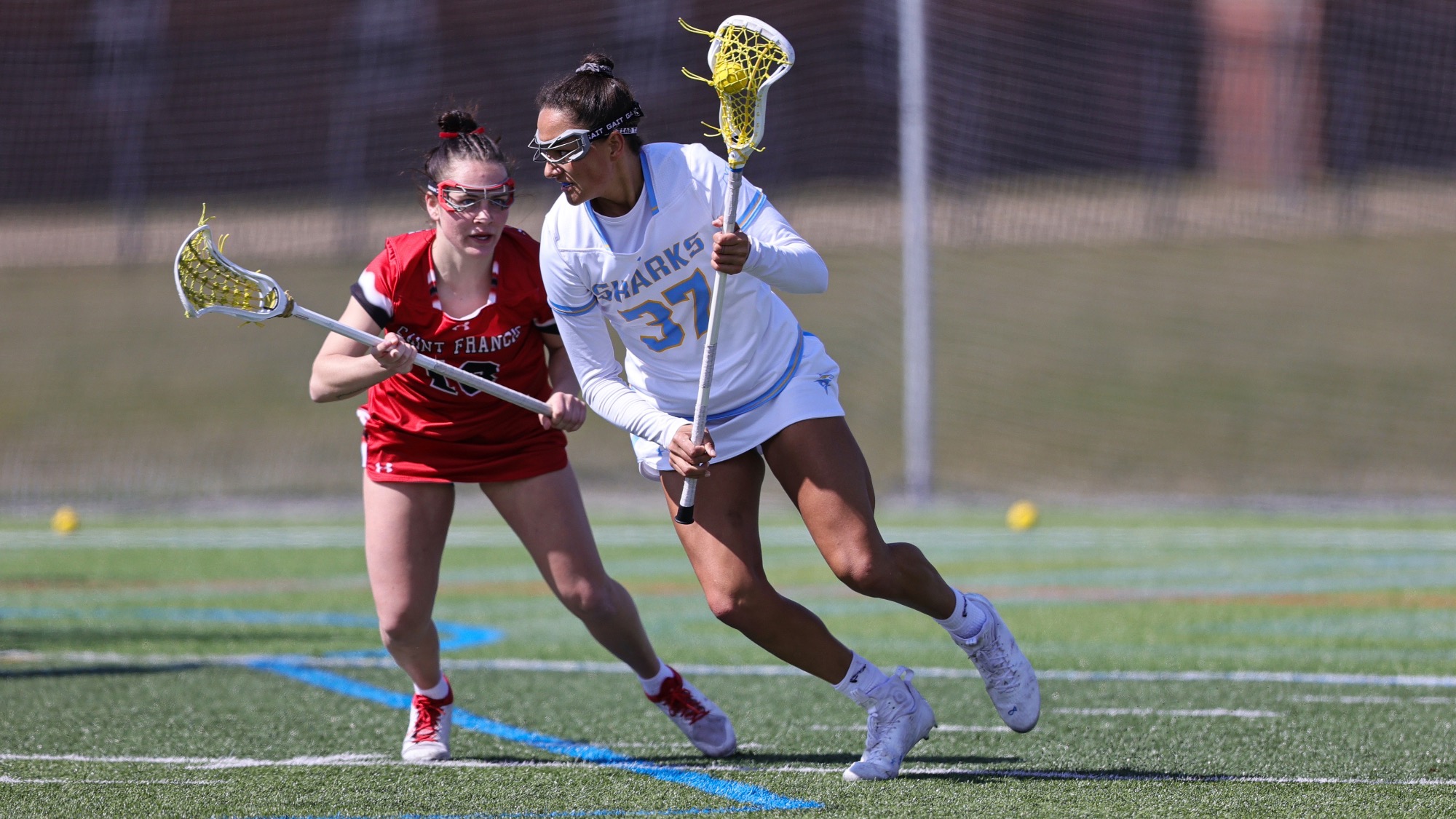 Long Island University Athletics