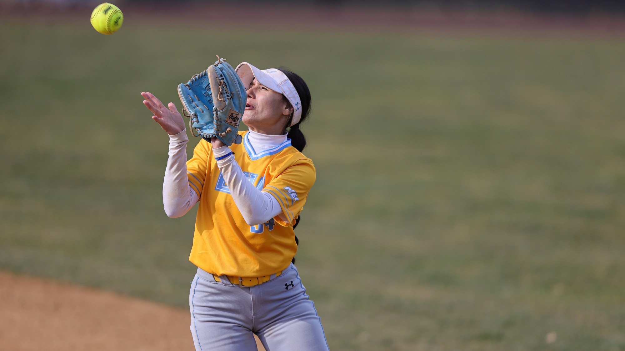 Long Island University Athletics