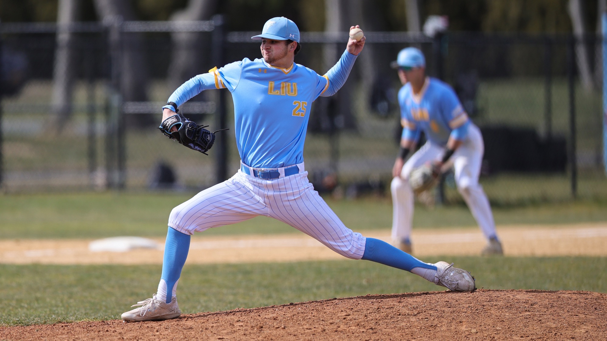 Long Island University Athletics