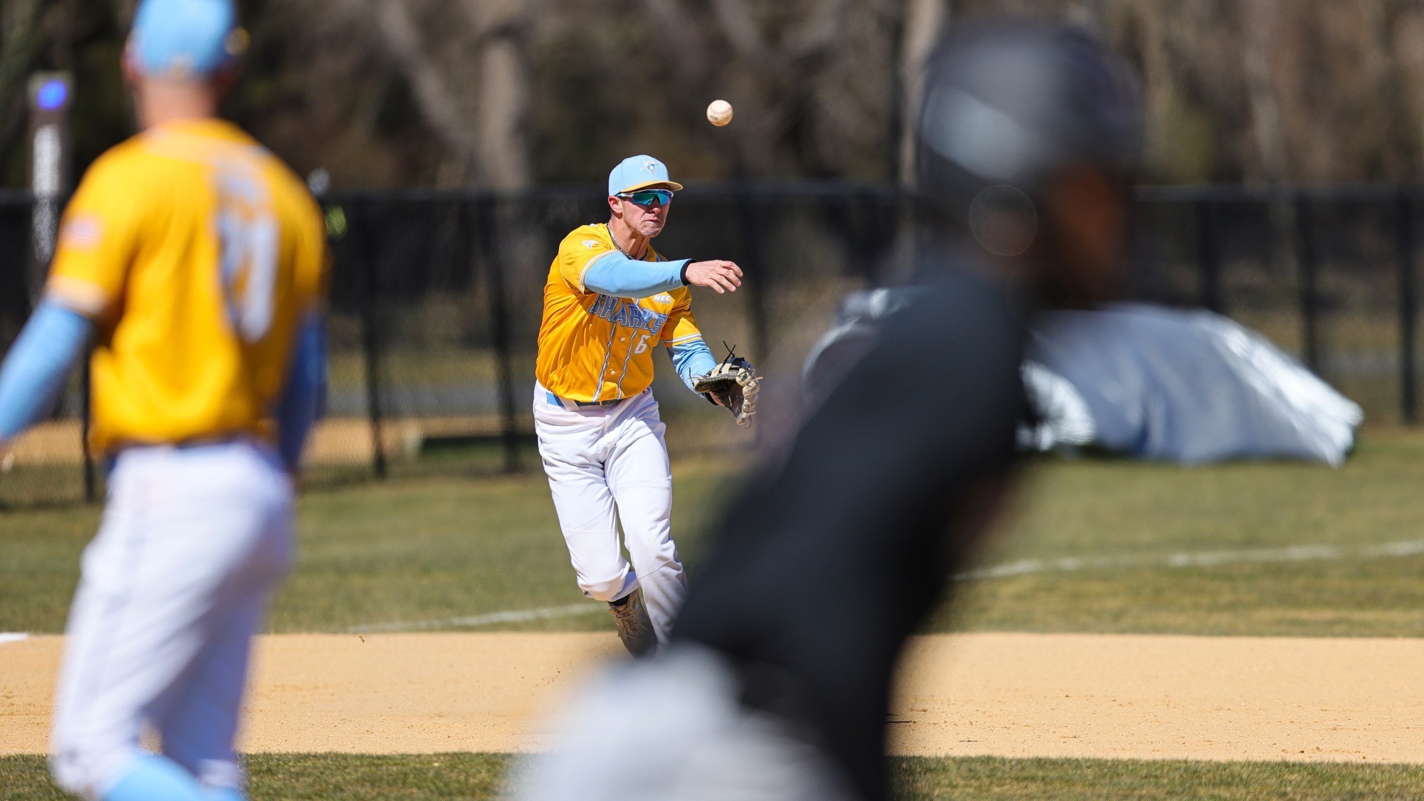 Long Island University Athletics