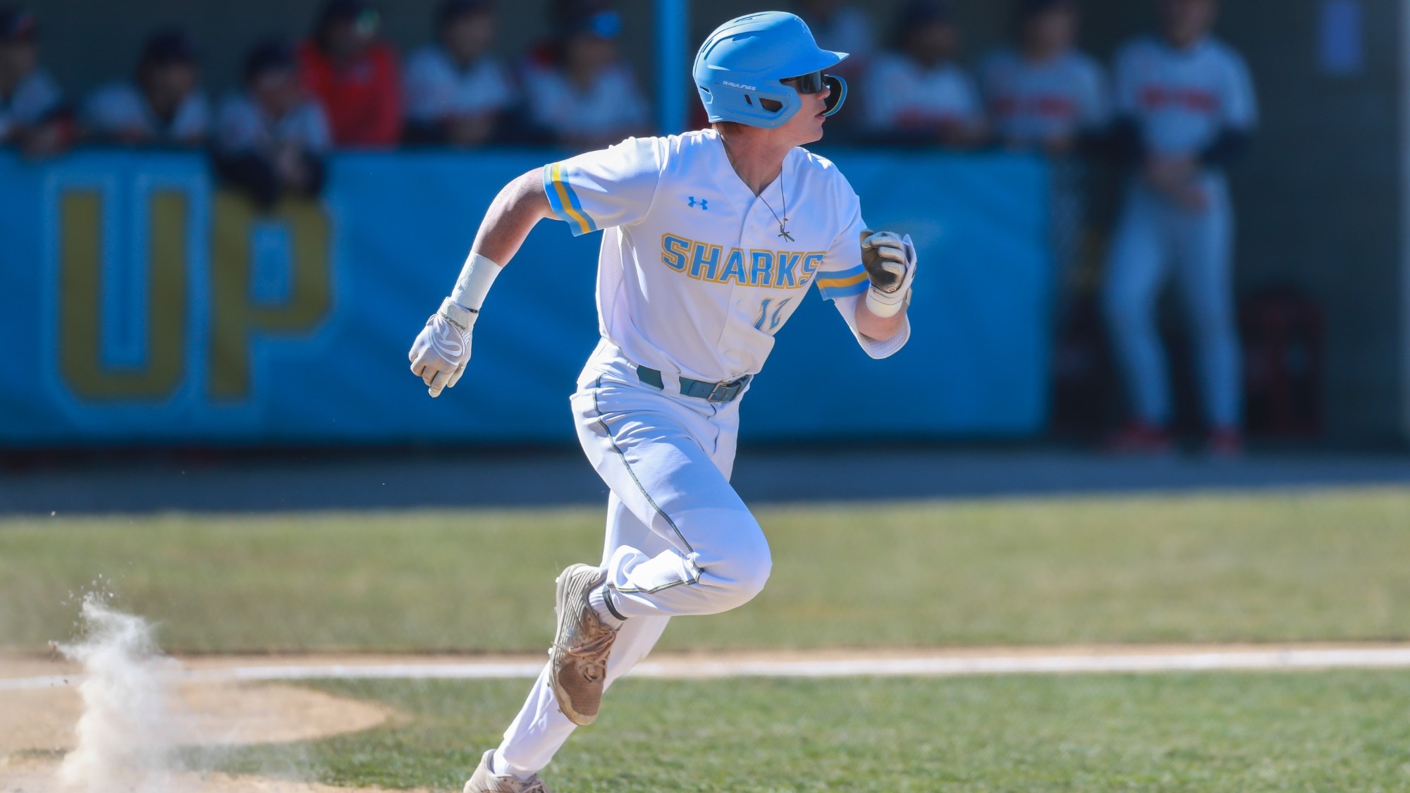 Long Island University Athletics