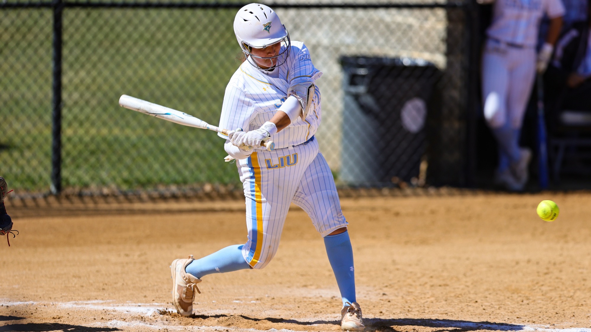 Long Island University Athletics