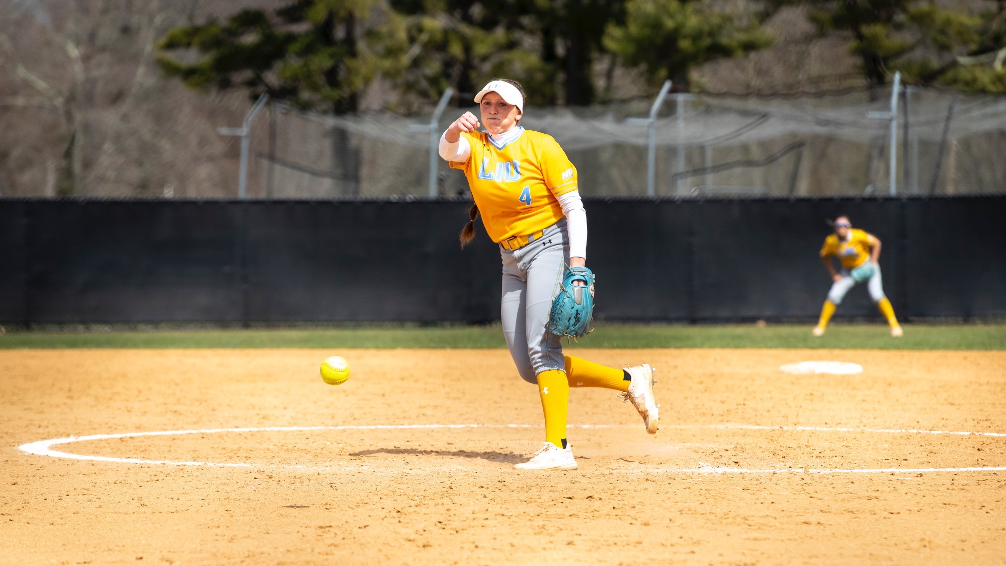 Long Island University