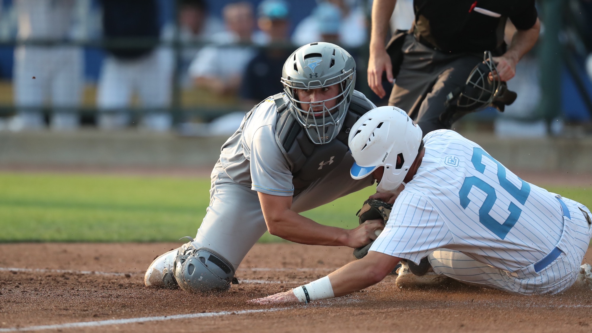 Long Island University Athletics