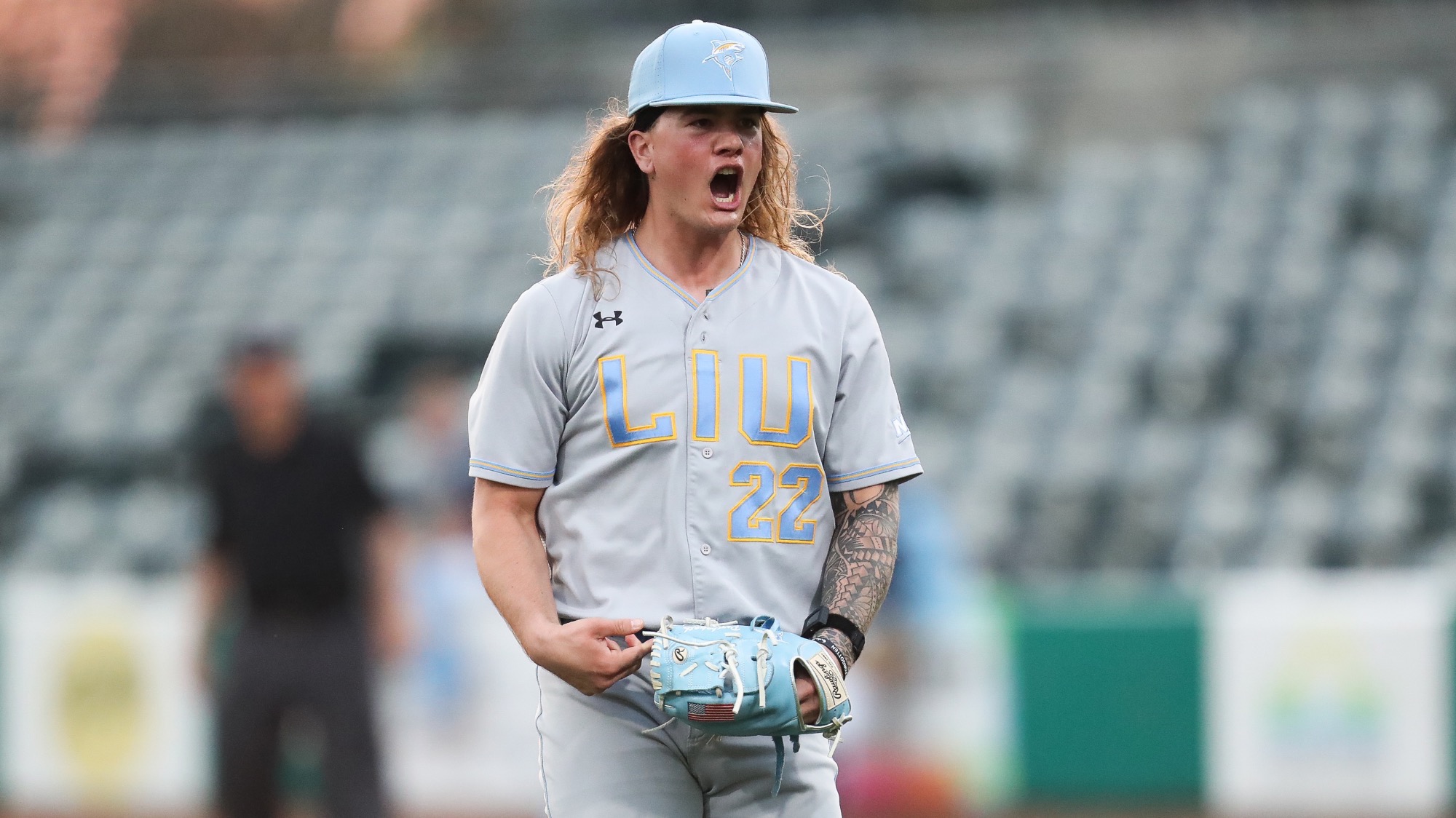 Long Island University Athletics