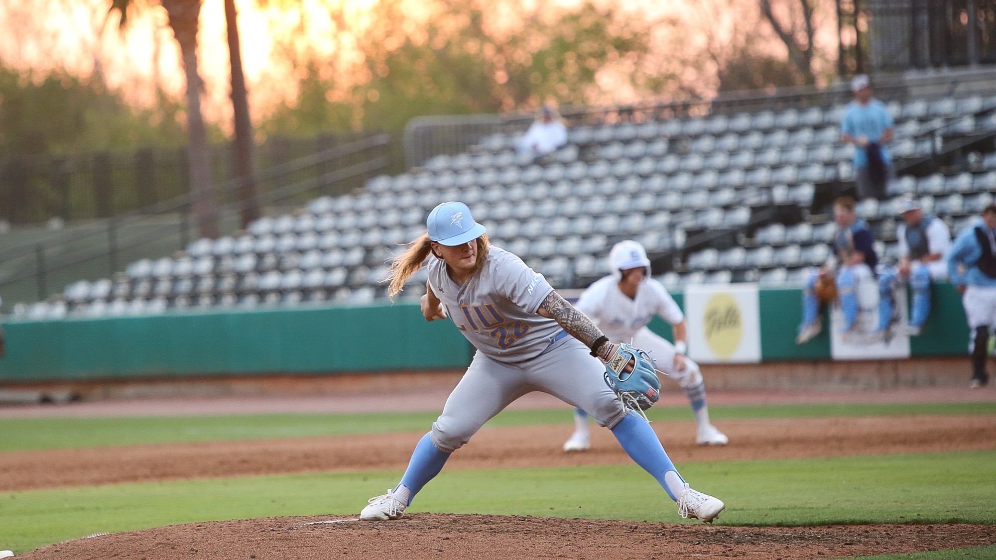 Long Island University Athletics