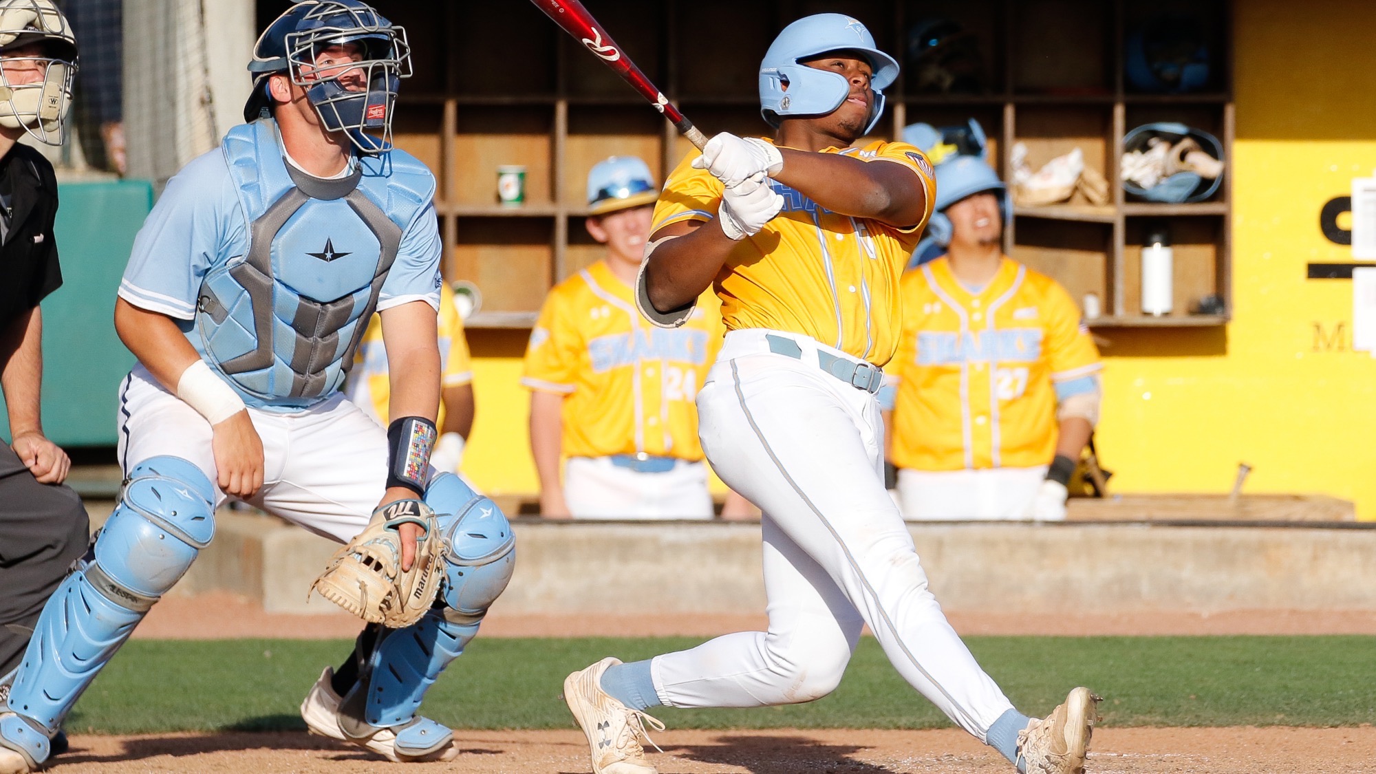 Long Island University Athletics