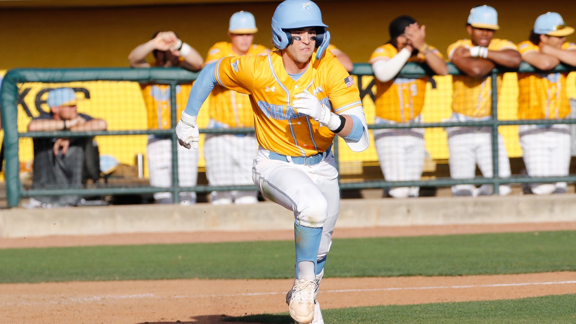 Long Island University Athletics