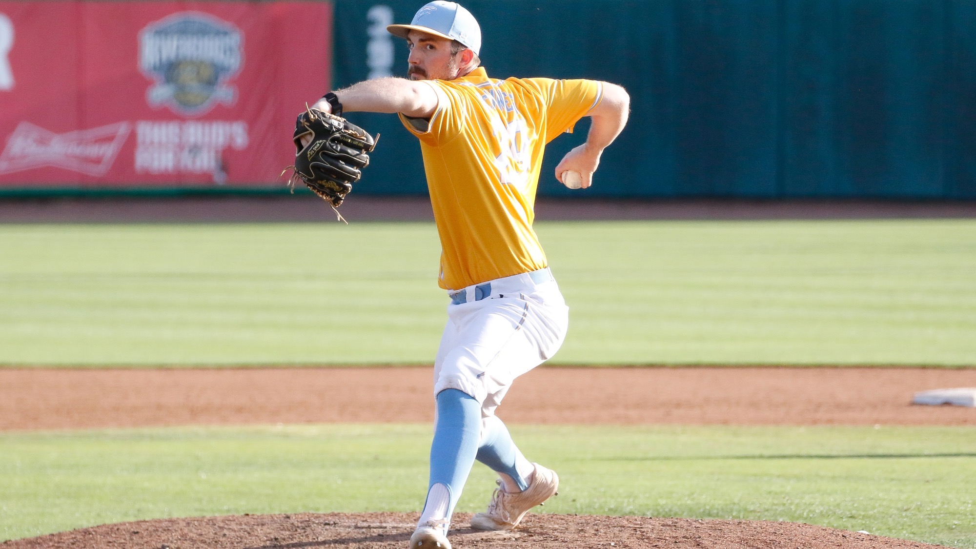 Long Island University Athletics