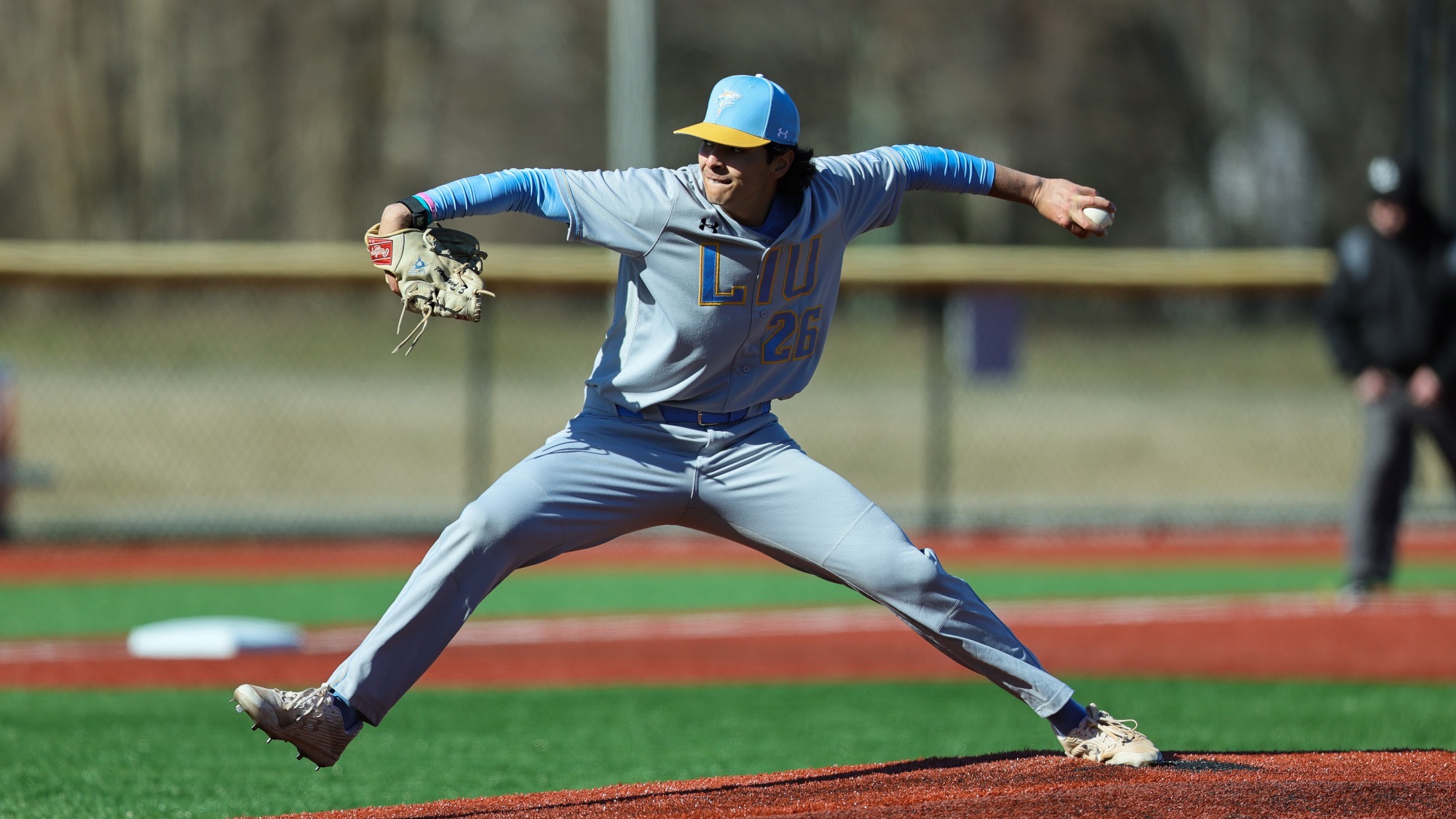 Long Island University Athletics