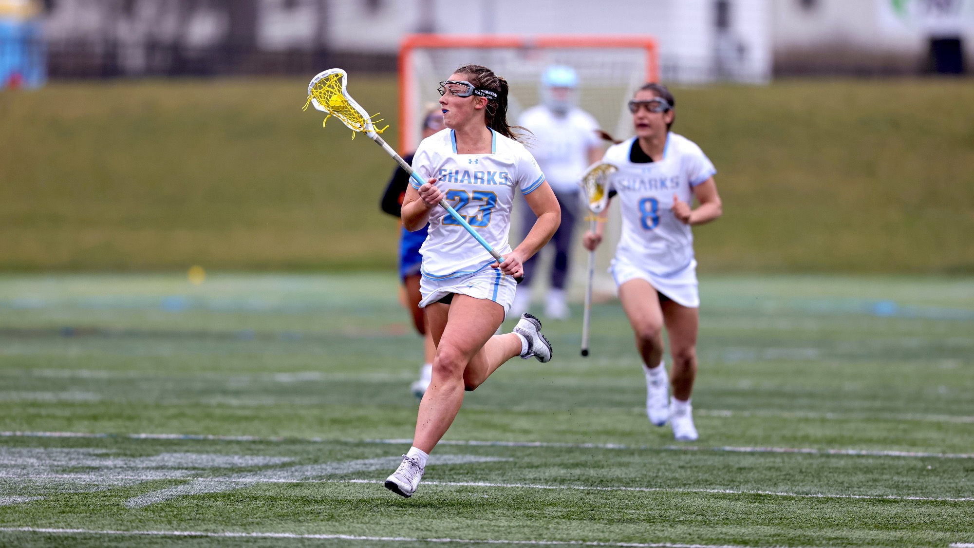 Long Island University Athletics