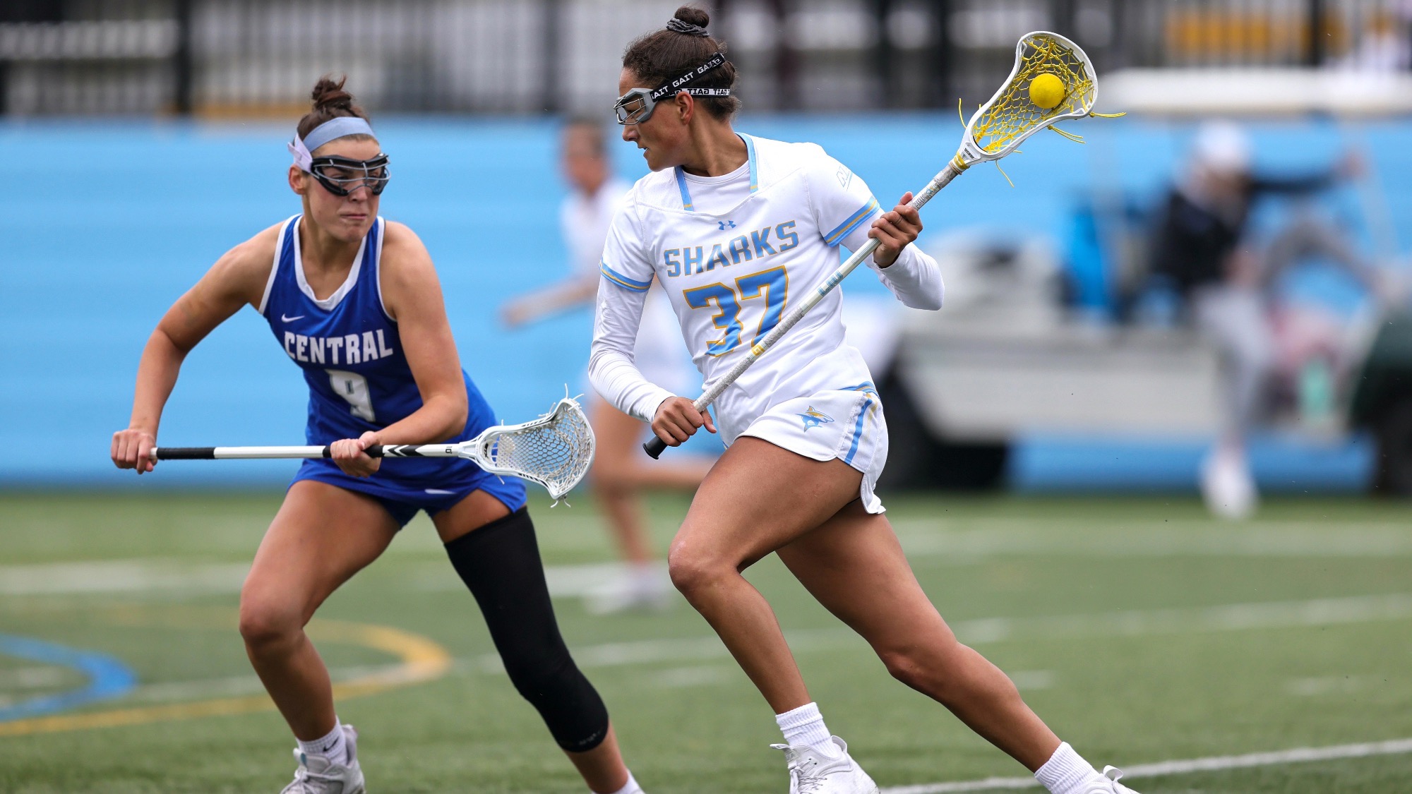 Long Island University Athletics