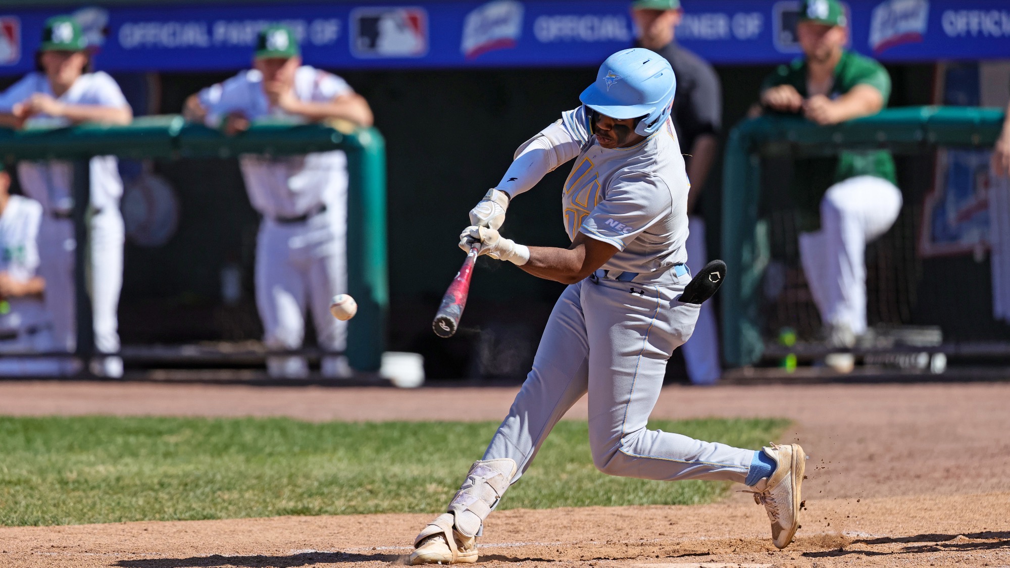 Long Island University Athletics