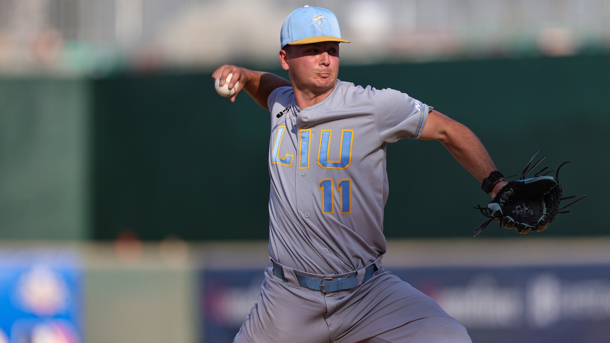 Long Island University Athletics