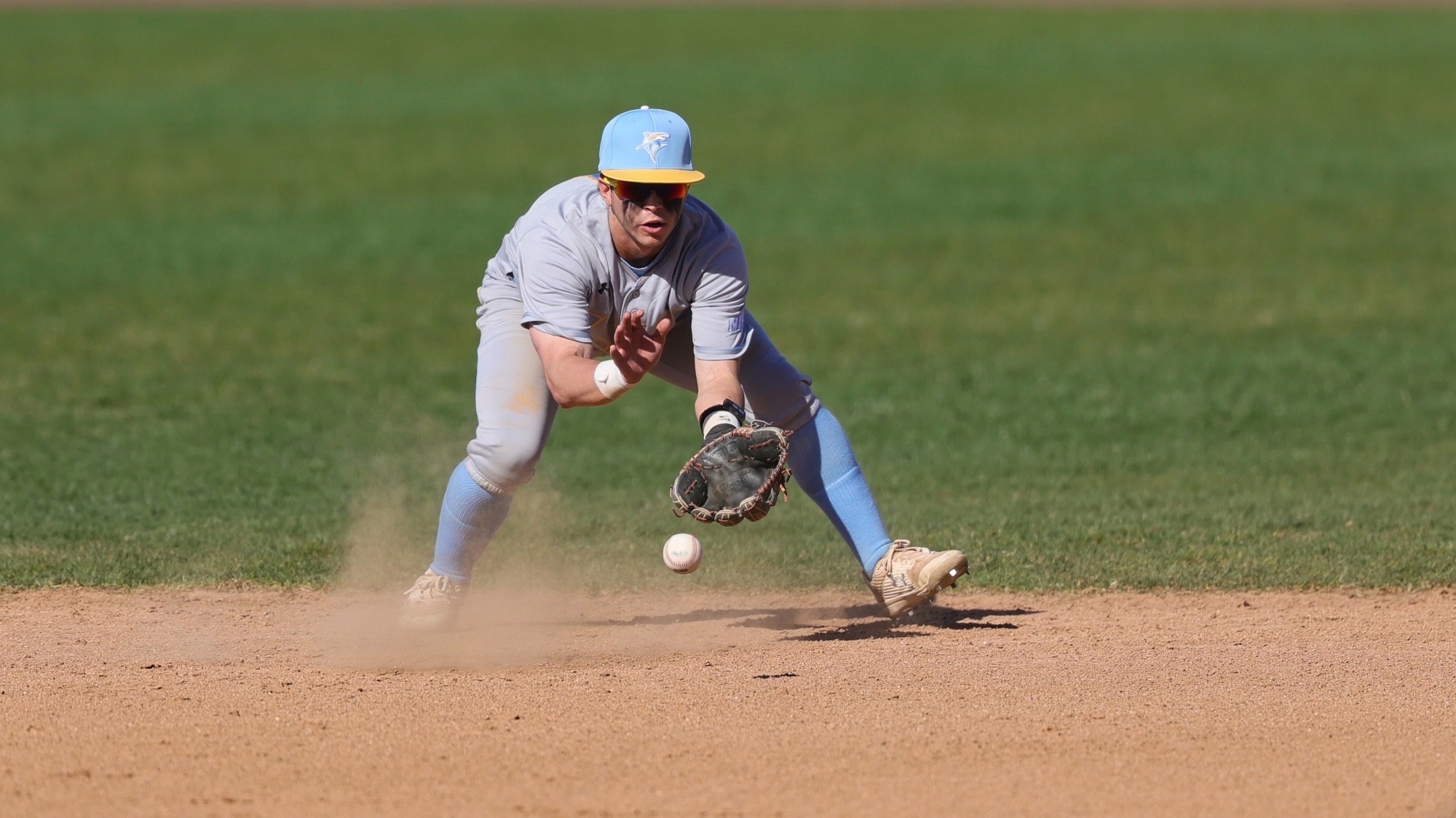 Long Island University Athletics